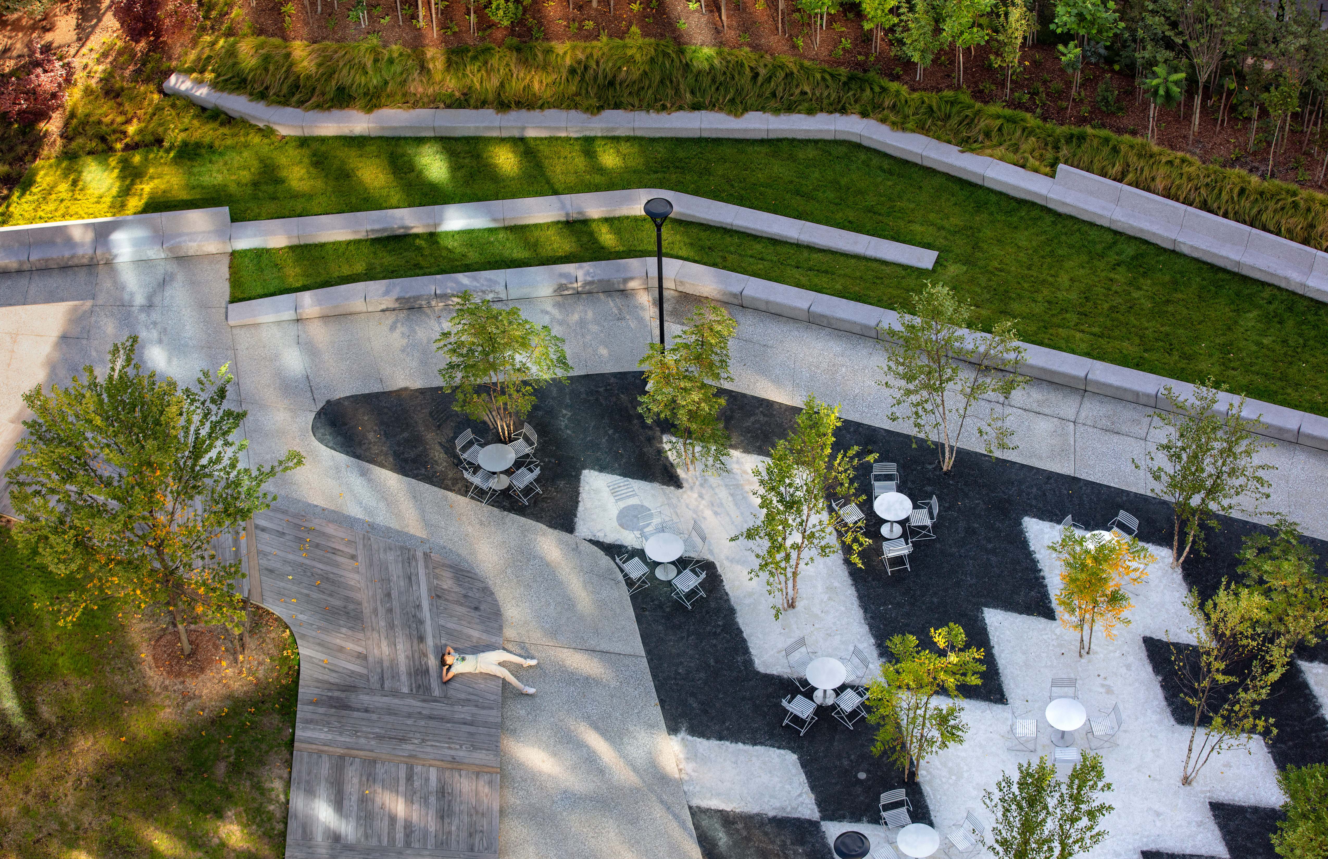 Triangle Park Urban Forest by Stoss Landscape Urbanism - Architizer