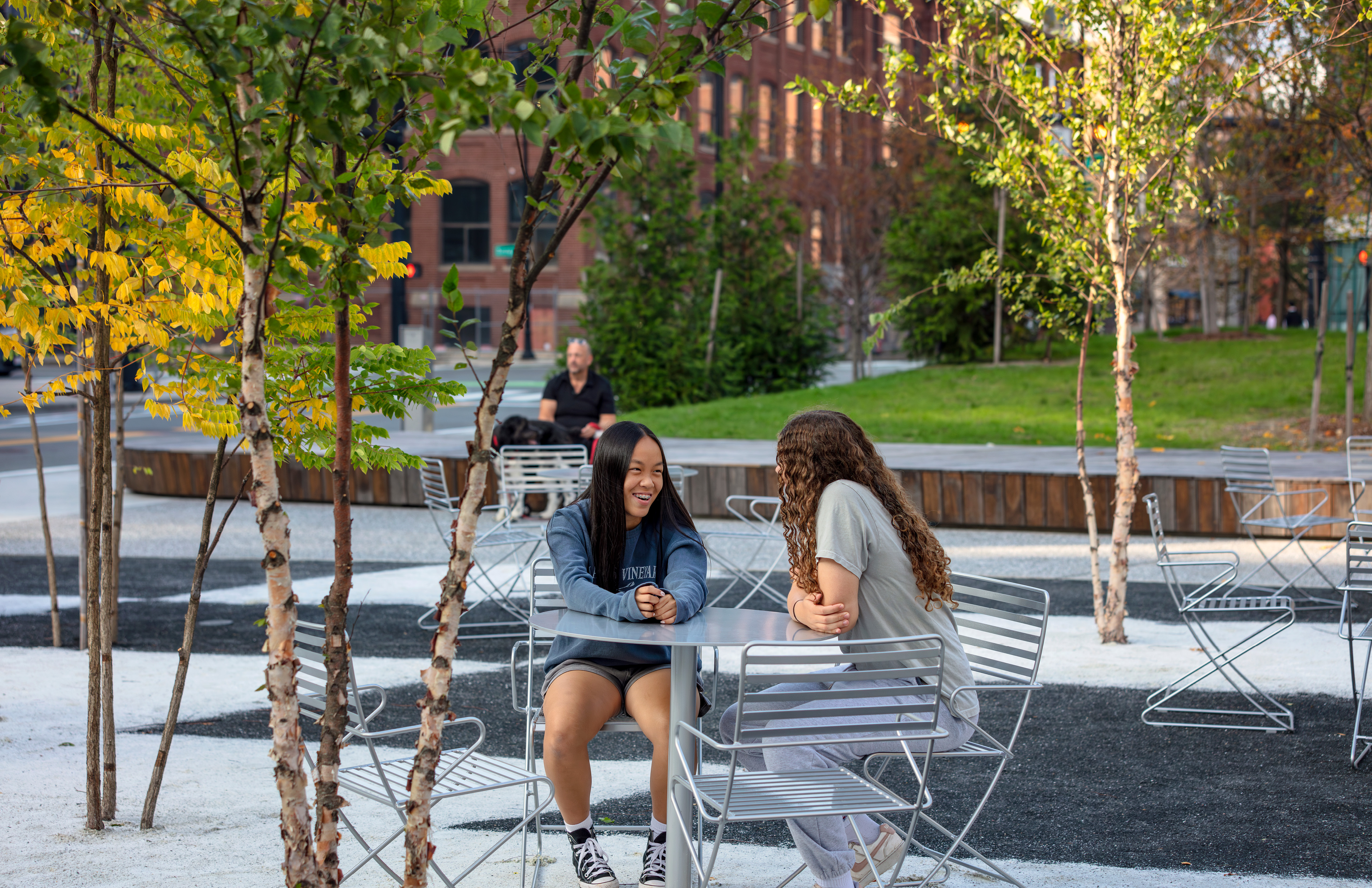 Triangle Park Urban Forest by Stoss Landscape Urbanism - Architizer