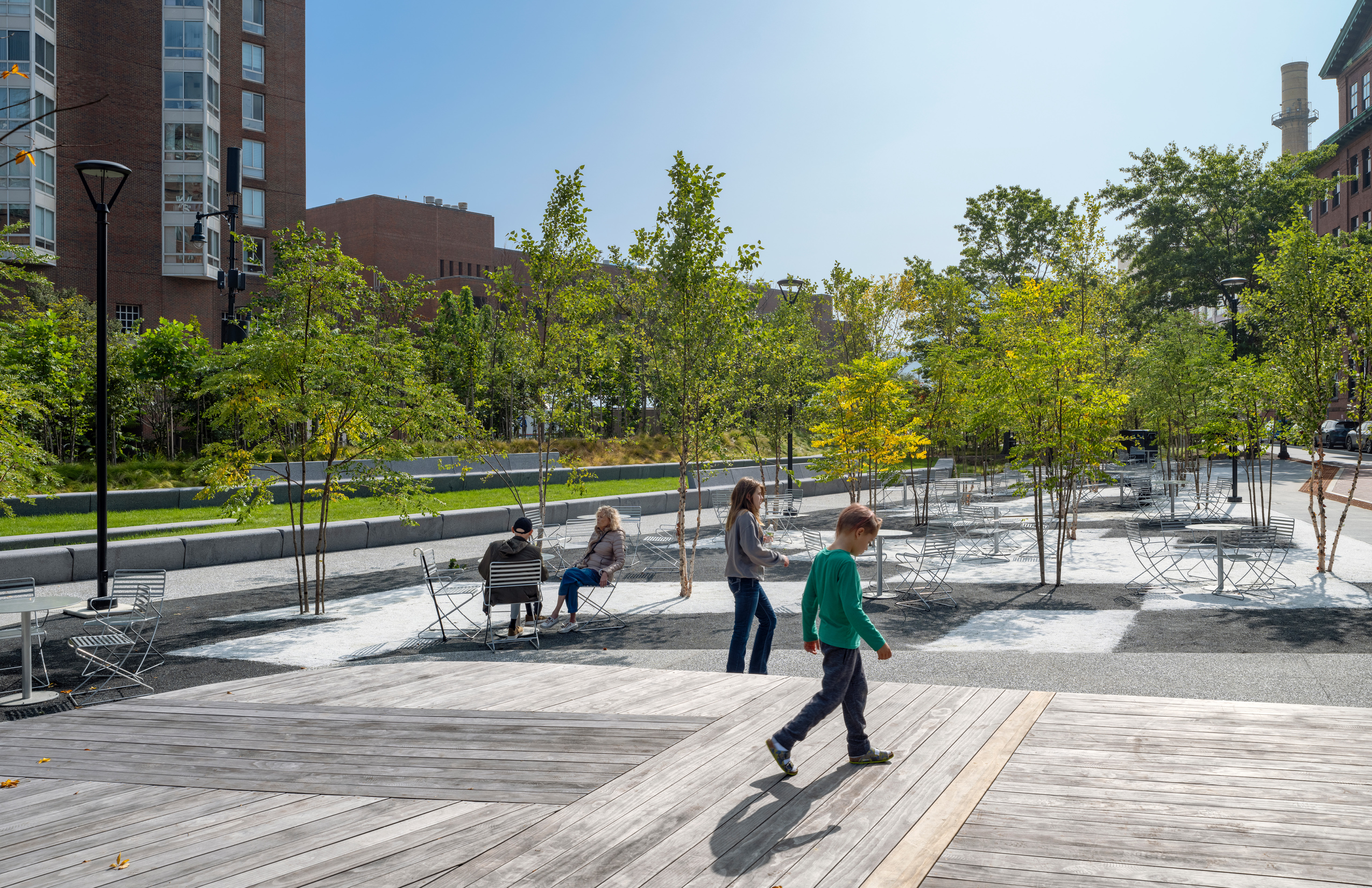 Triangle Park Urban Forest by Stoss Landscape Urbanism - Architizer