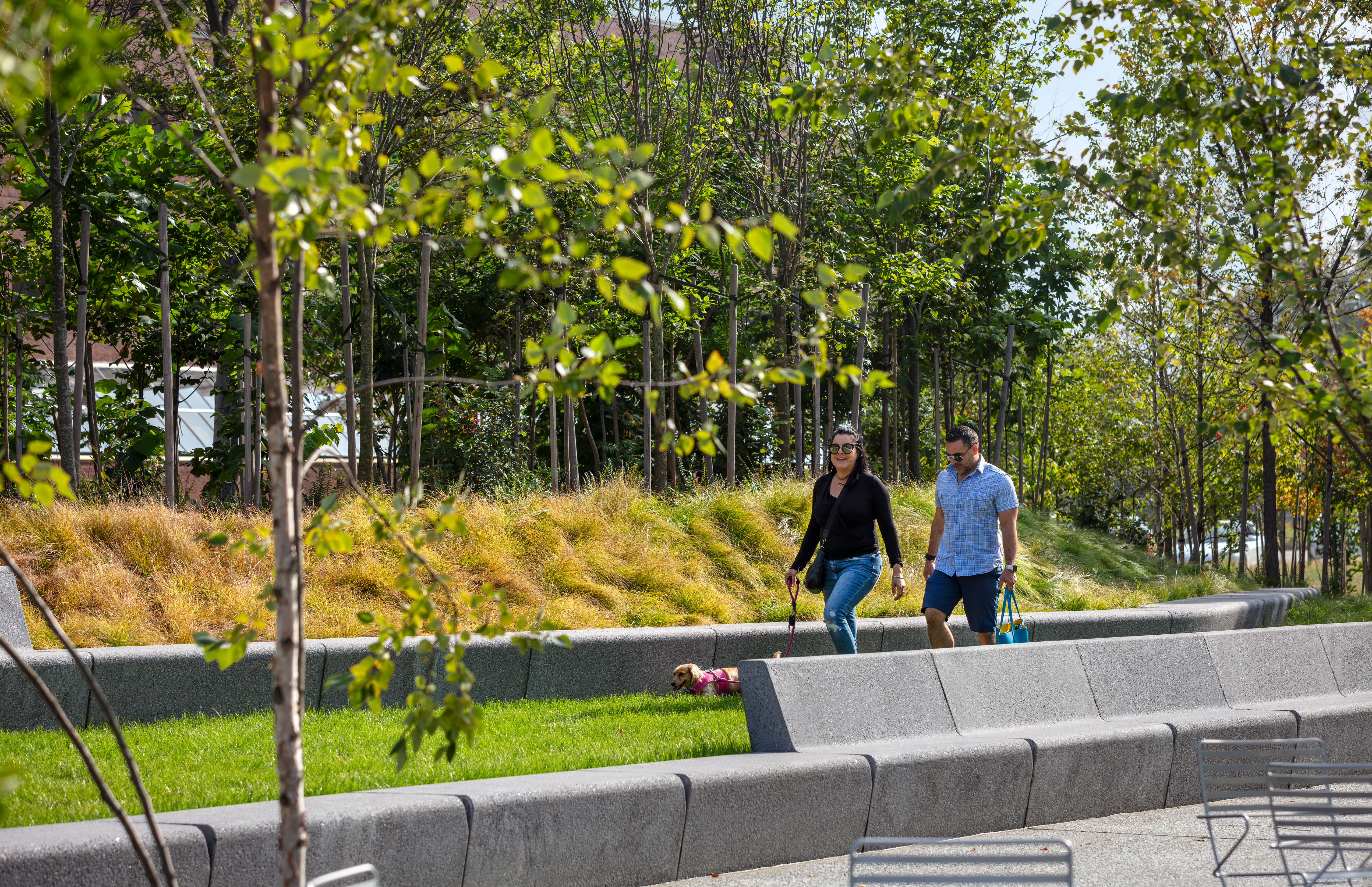 Triangle Park Urban Forest by Stoss Landscape Urbanism - Architizer