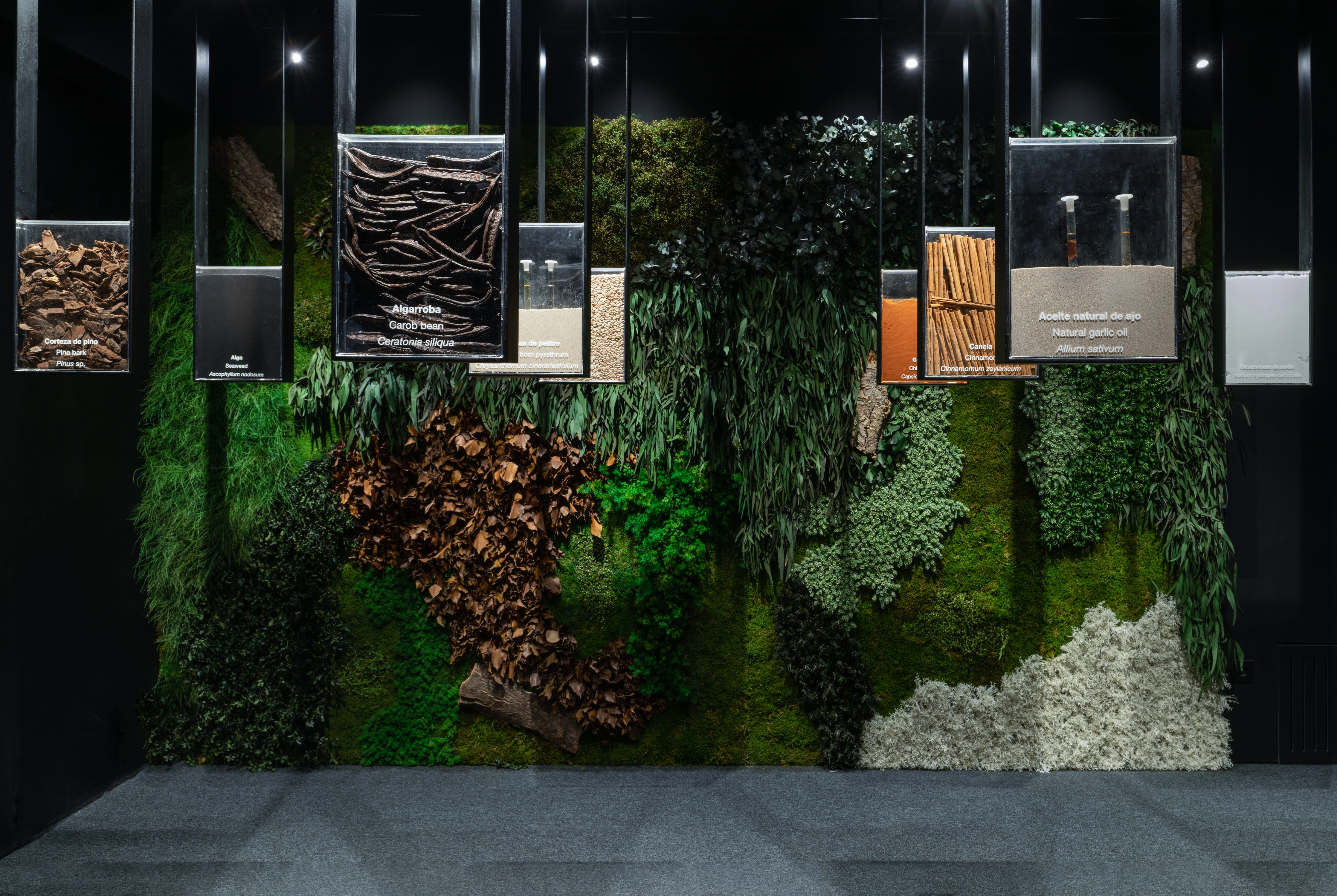 IDAI NATURE INTERACTIVE SHOWROOM by RUBÉN MUEDRA ESTUDIO DE ...