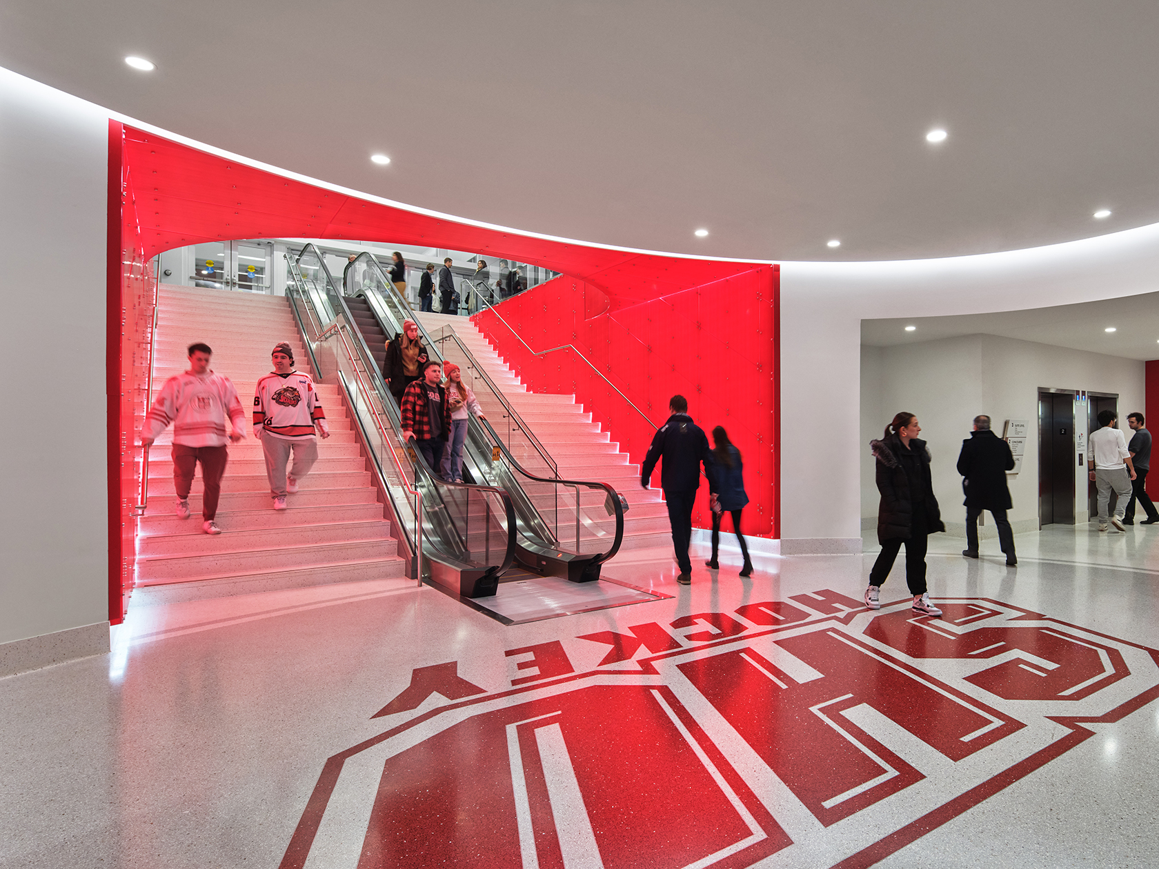 Martire Family Arena by JLG Architects - Architizer