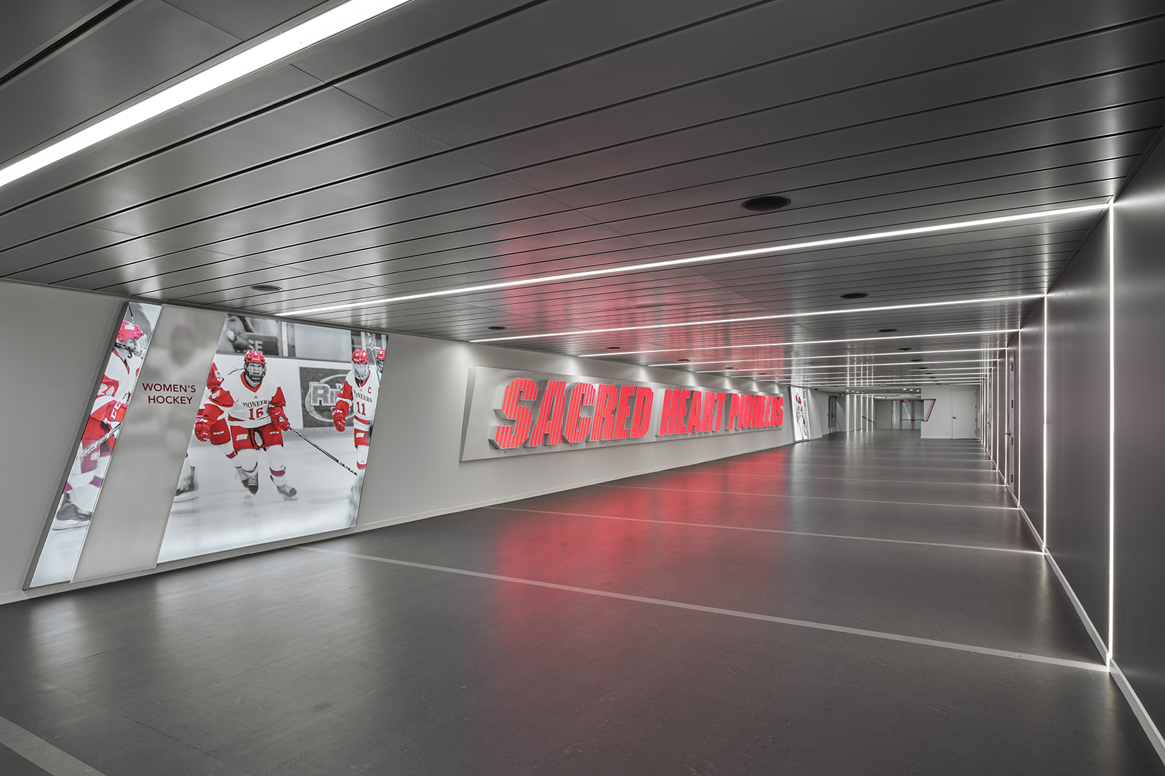 Martire Family Arena by JLG Architects - Architizer