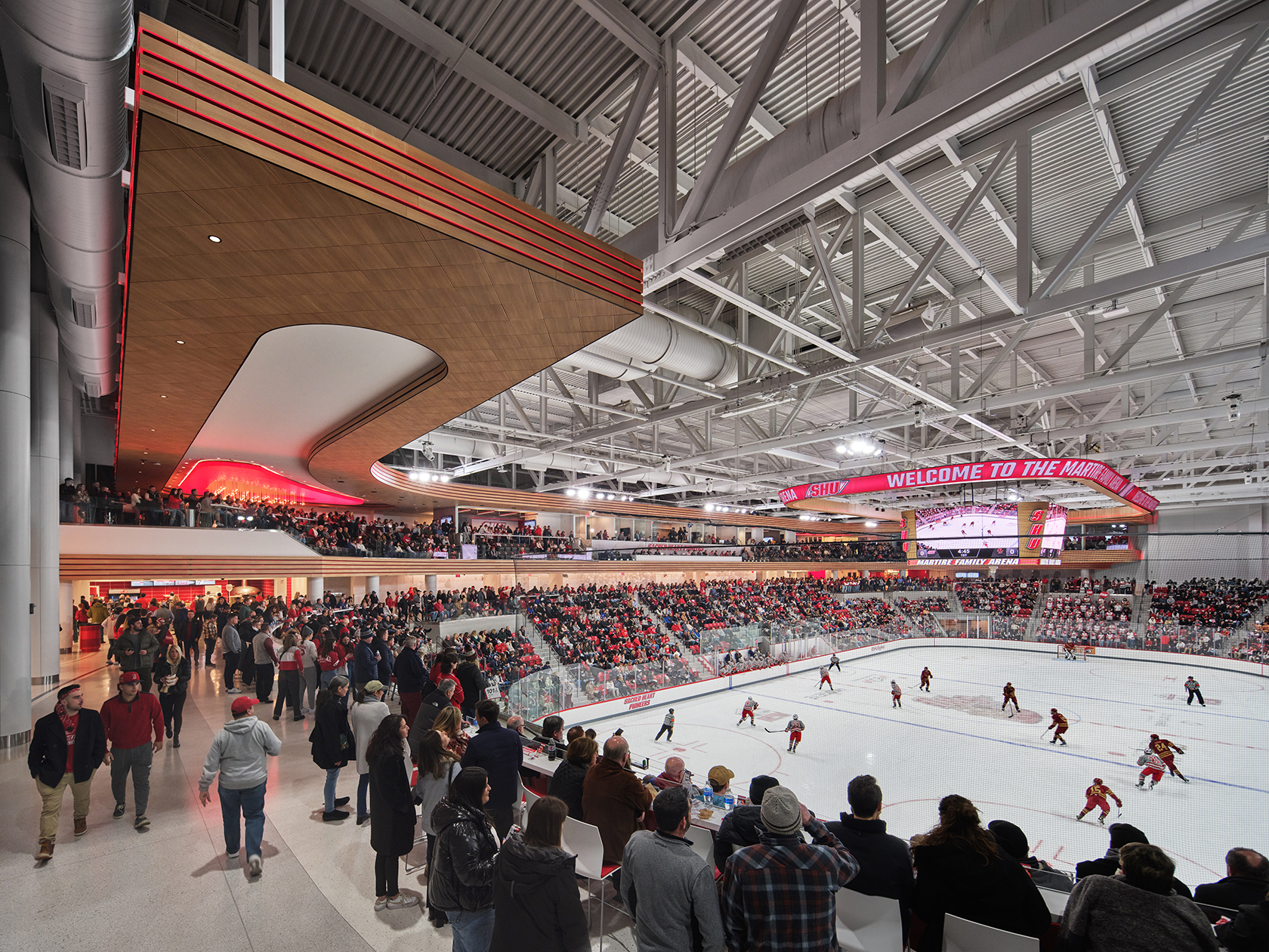 Martire Family Arena by JLG Architects - Architizer