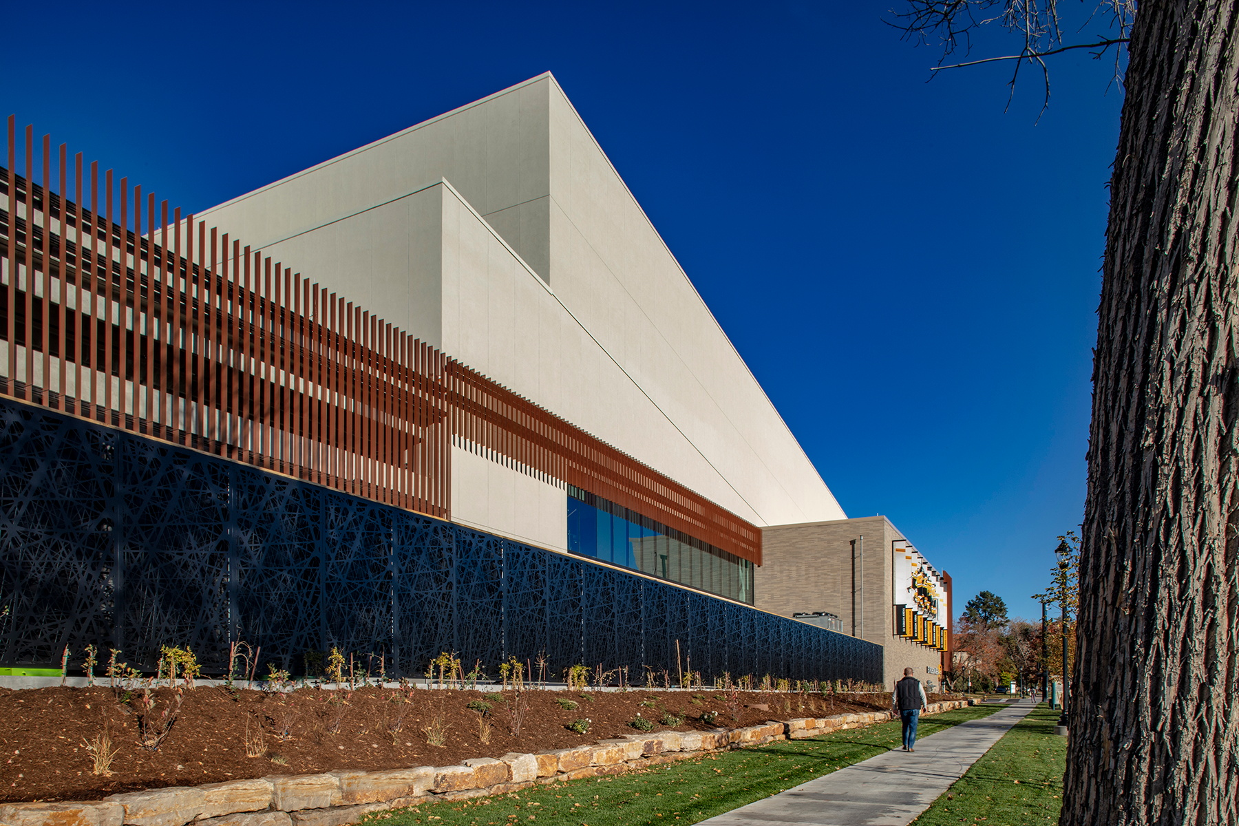 Ed Robson Arena by JLG Architects - Architizer