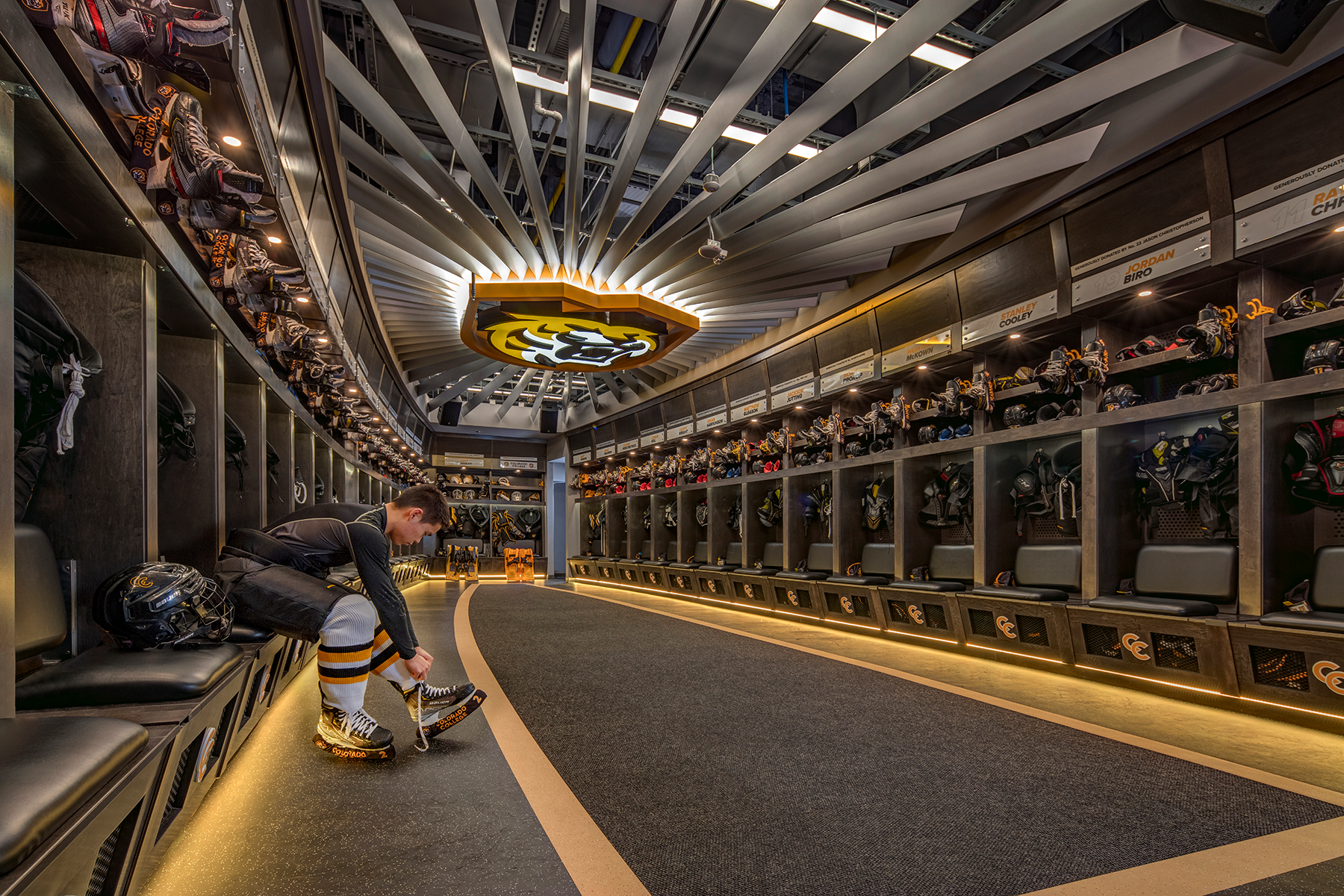 Ed Robson Arena by JLG Architects - Architizer