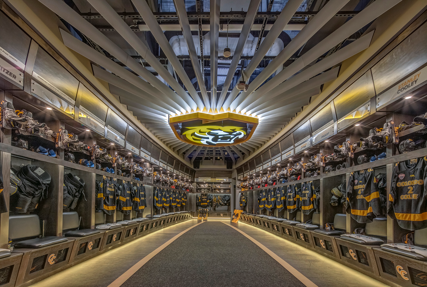 Ed Robson Arena by JLG Architects - Architizer