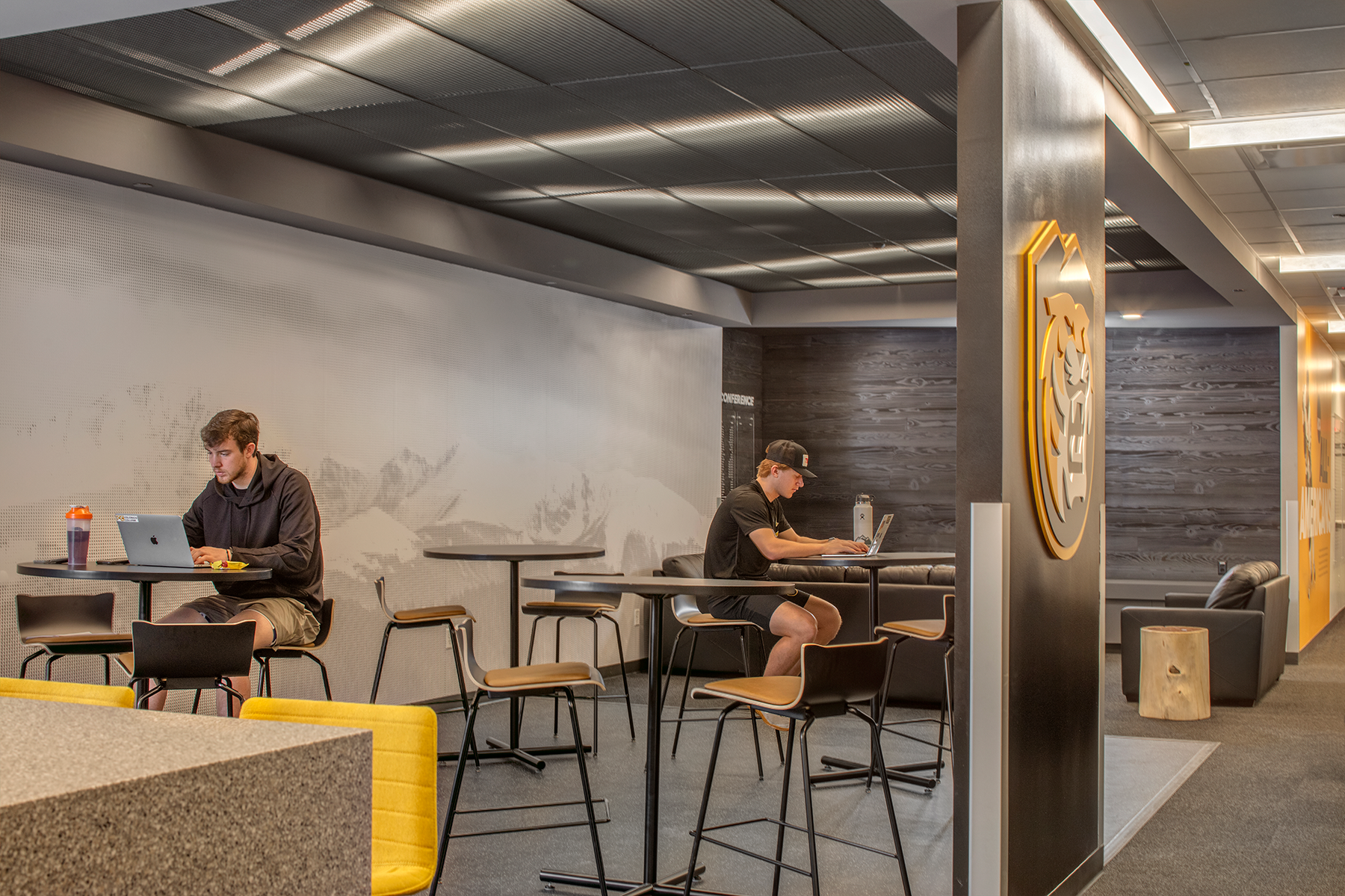 Ed Robson Arena by JLG Architects - Architizer