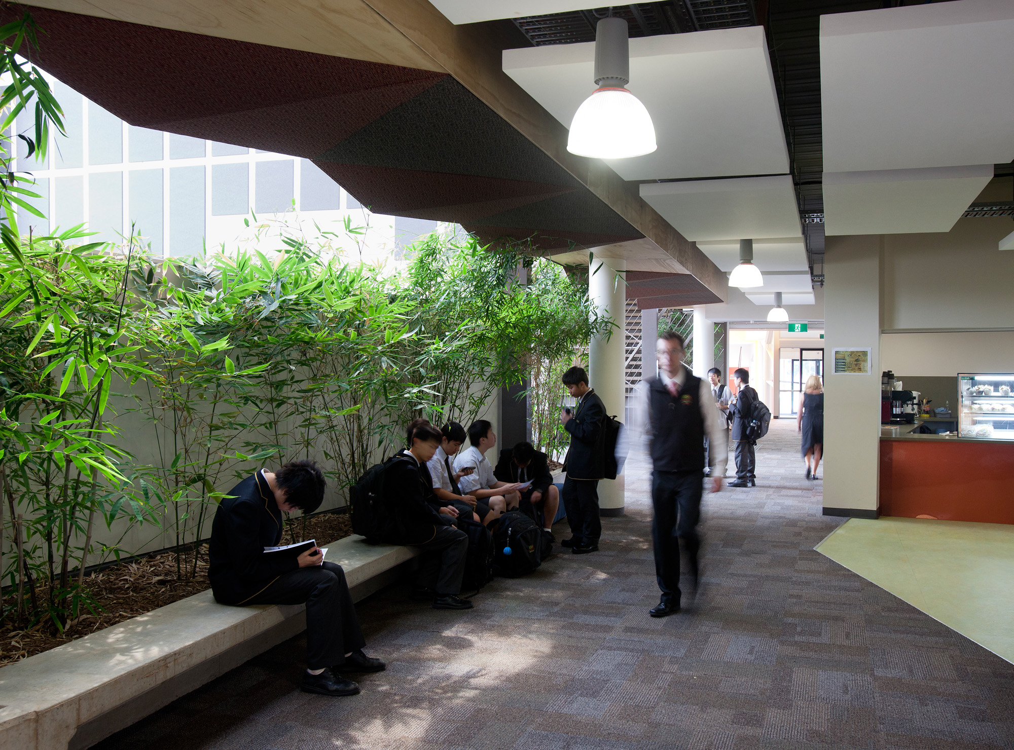 Suzanne Cory High School by Brand Architects - Architizer