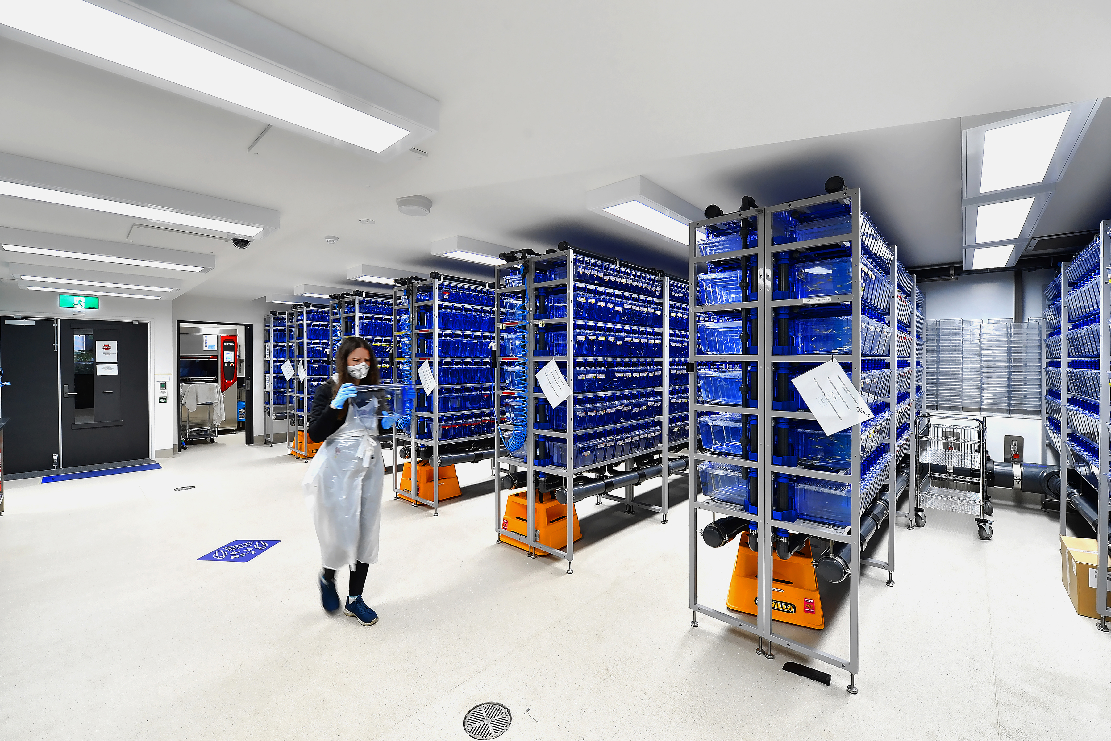 Zebrafish Facility by Brand Architects - Architizer