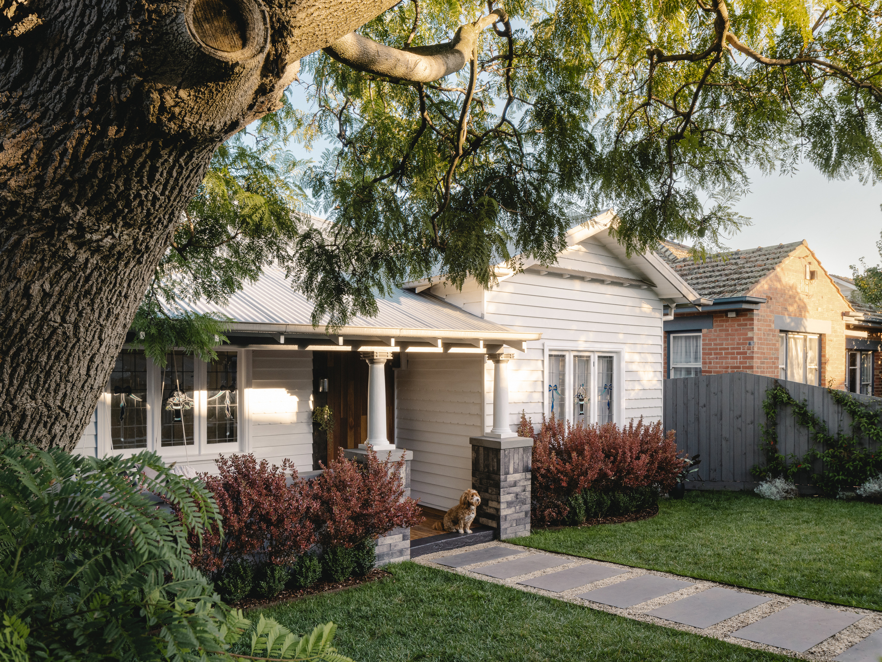 Elm Seed House by Architektura - Architizer