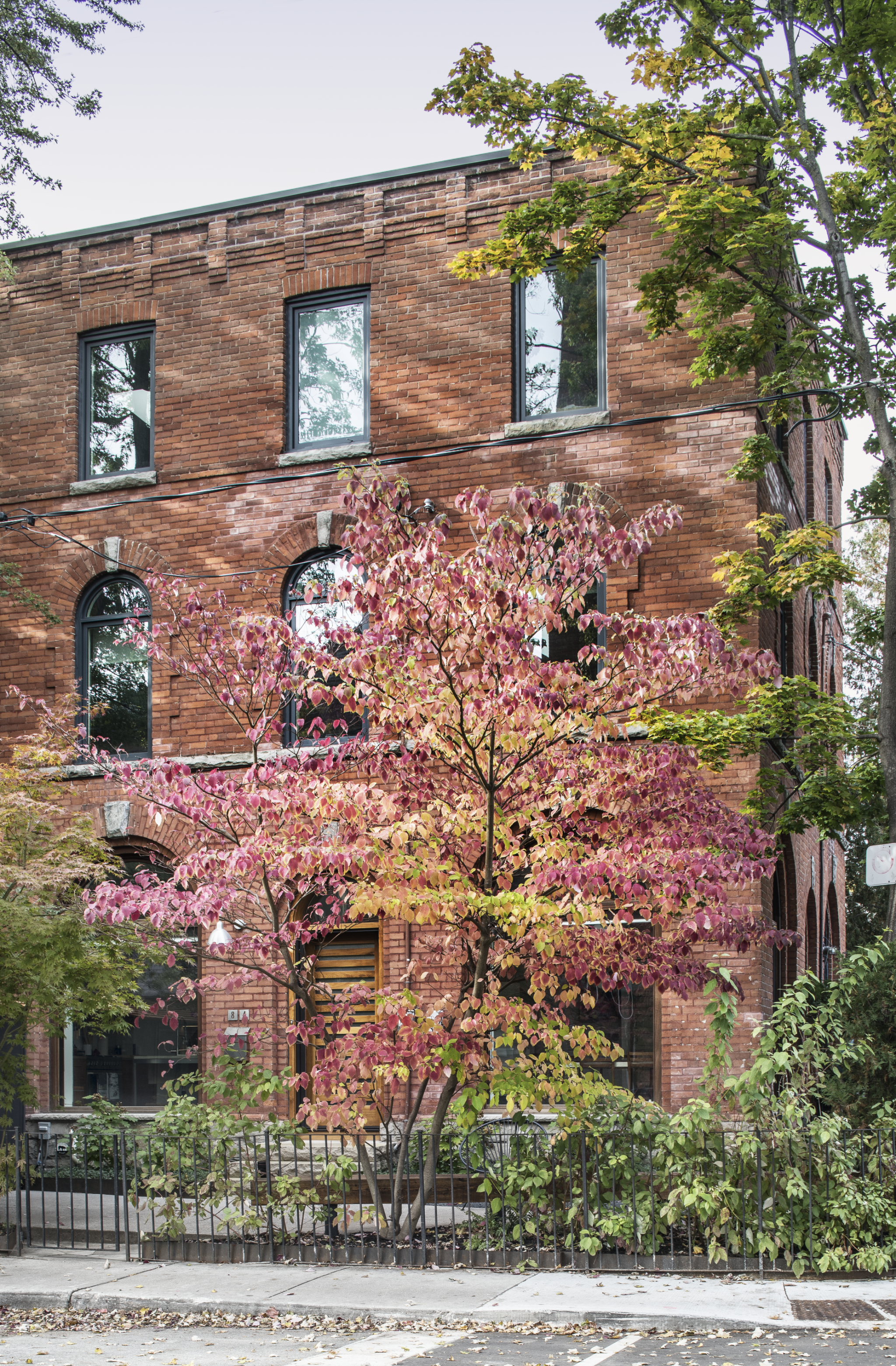 First Avenue Residence by PLANT Architect Inc. - Architizer