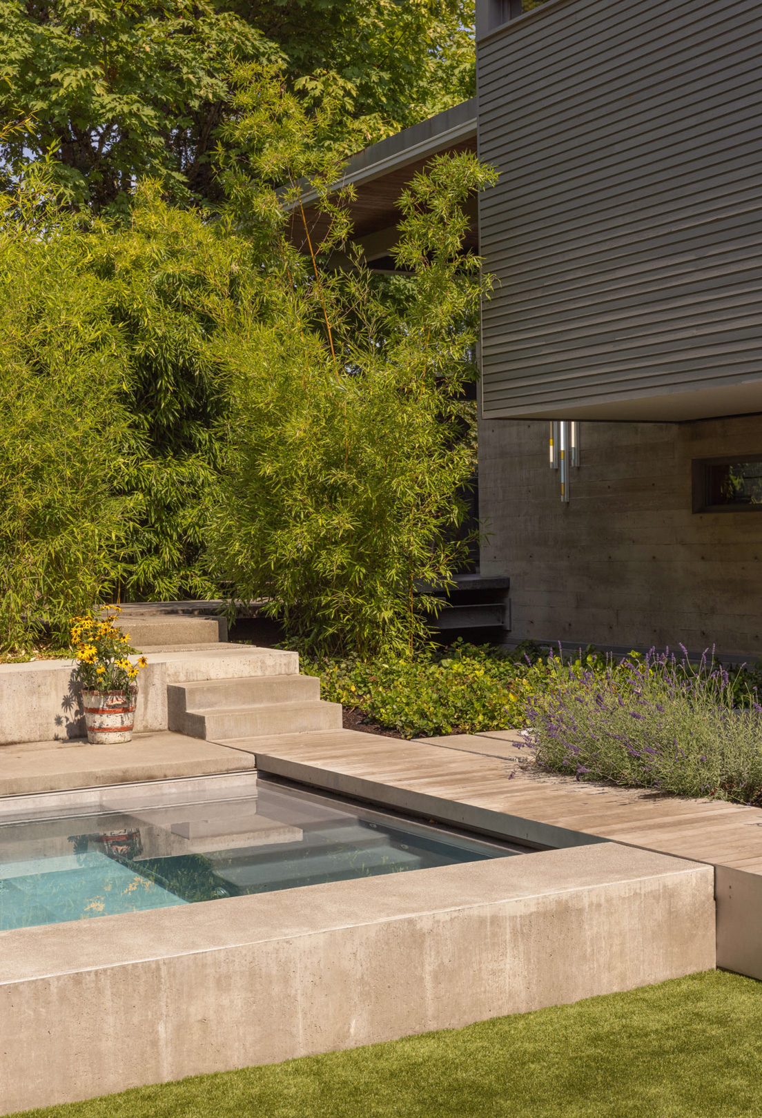 Lil Dipper by Best Practice Architecture - Architizer