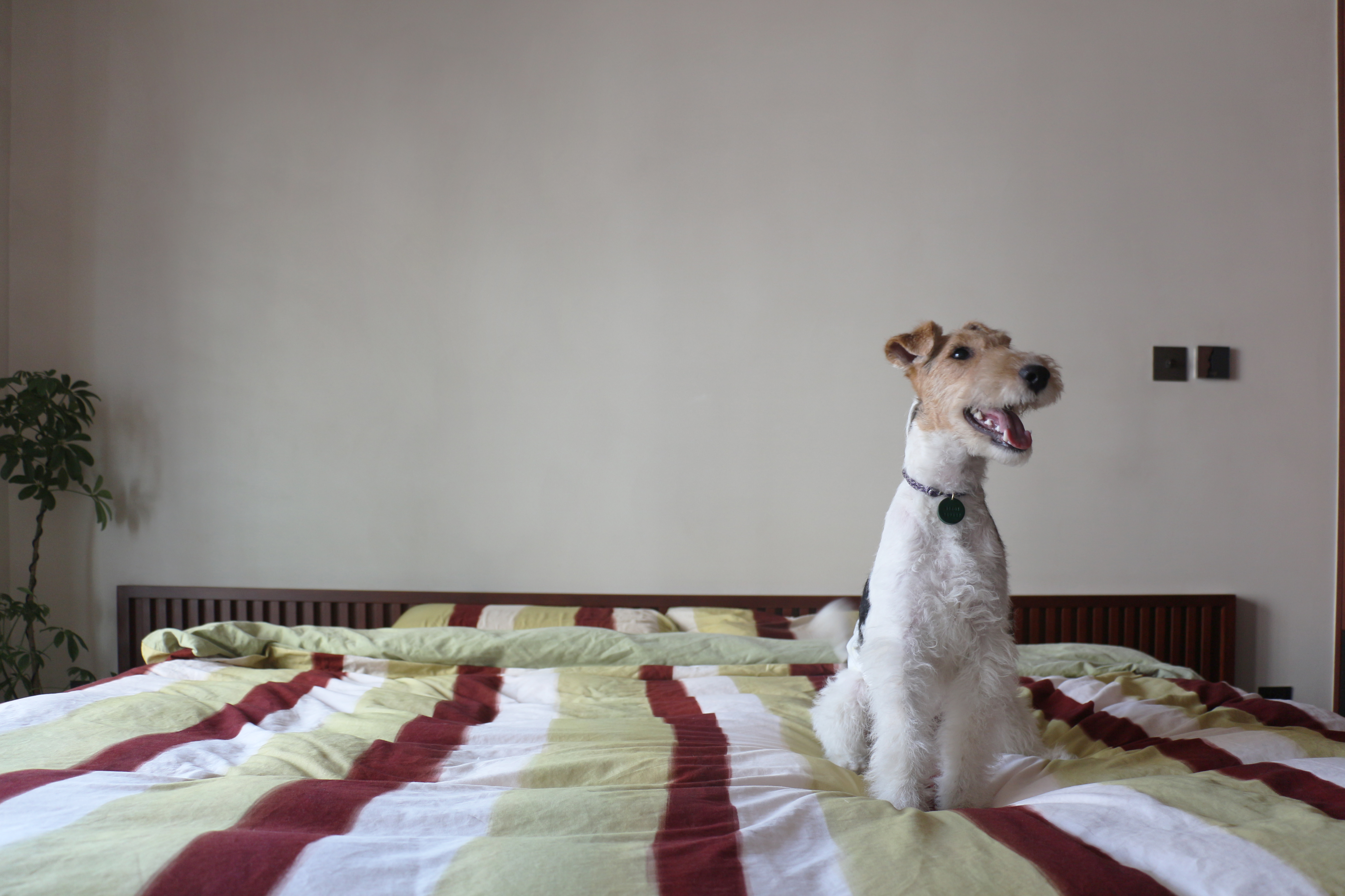 Shanghai Z Apartment by threshold design - Architizer