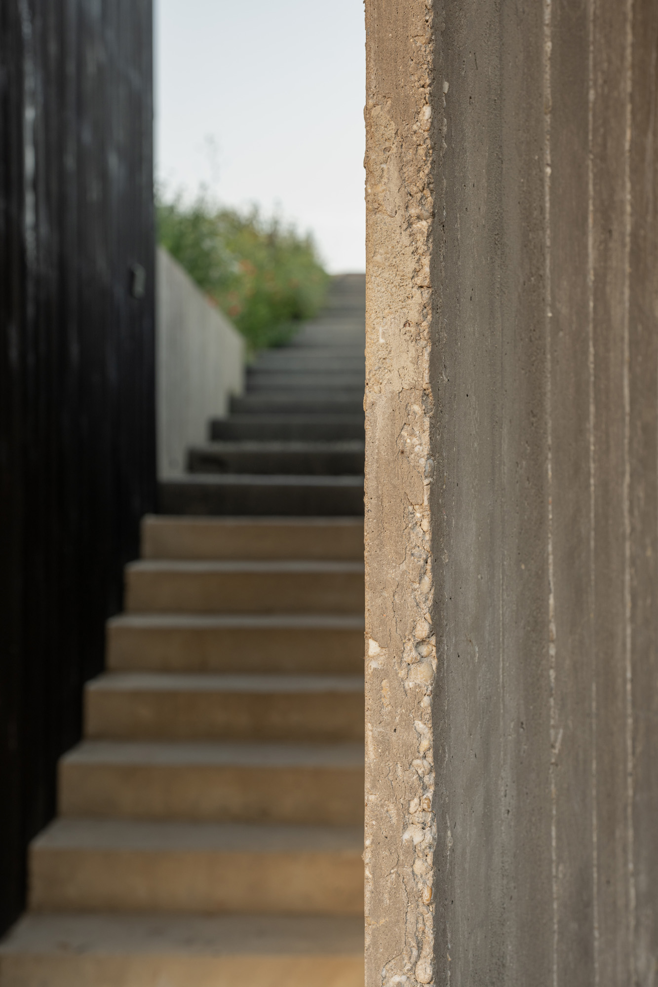 Idea 3992036: Edeckhouse (CLT House) by Hello Wood in Hungary - Architizer