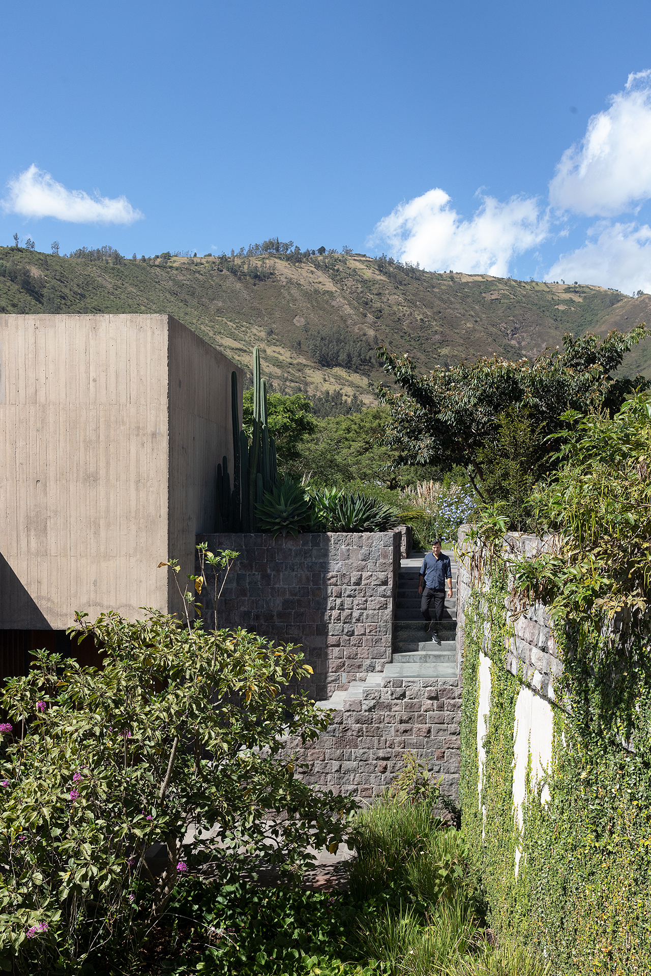 CASA NE by Diez+Muller - Architizer