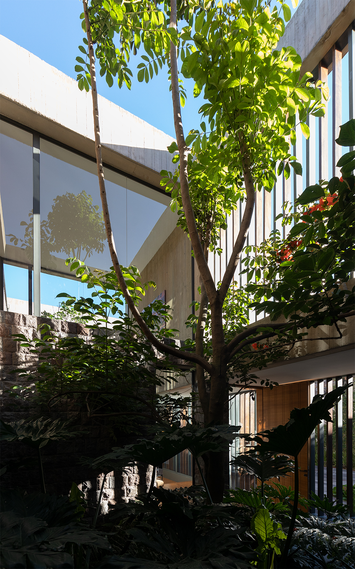 CASA NE by Diez+Muller - Architizer