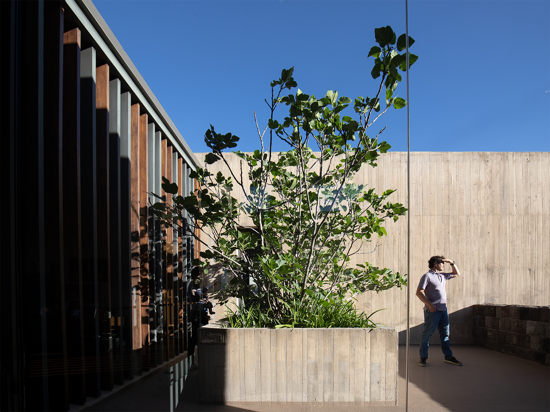 CASA NE by Diez+Muller - Architizer