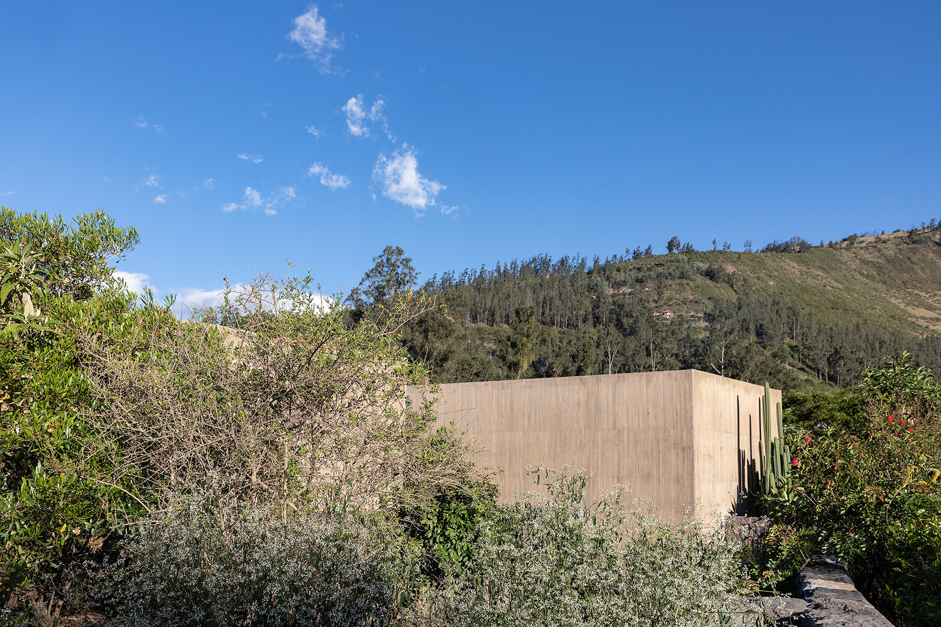 CASA NE by Diez+Muller - Architizer