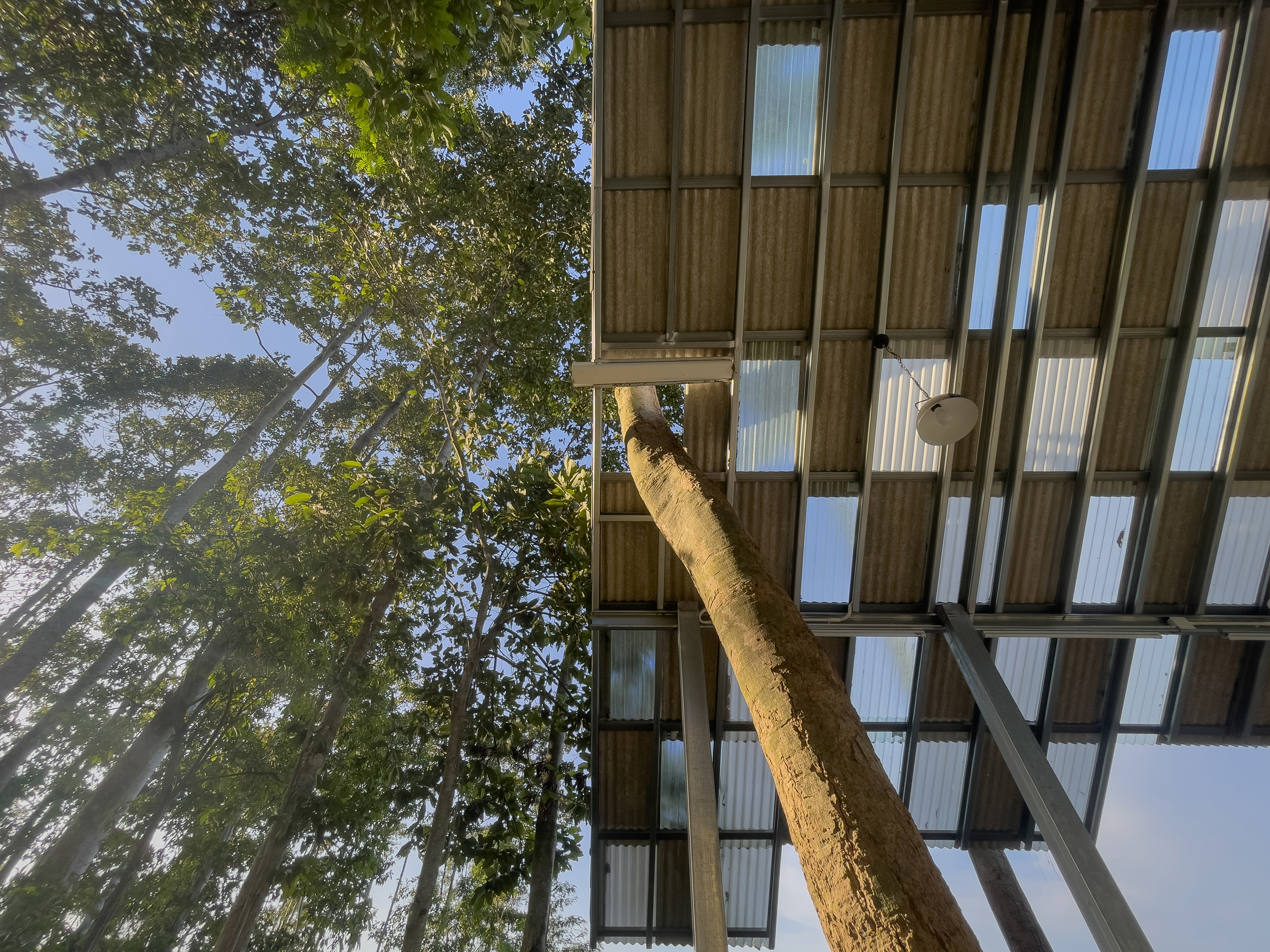 C2 Shelter at OOST Kampville by TJOB - Architizer