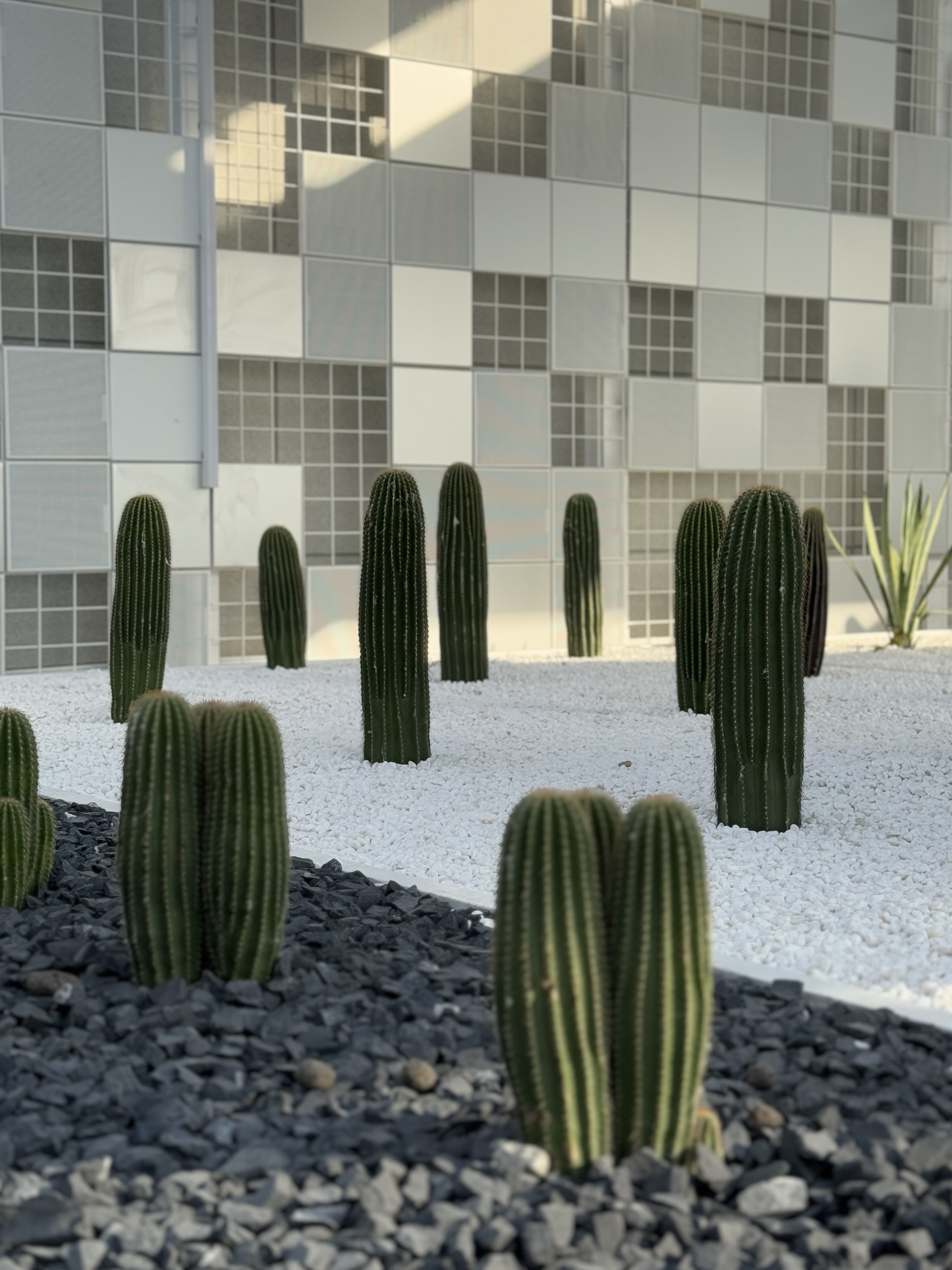 Shanghai WLA Artificial Intelligence Lab Gardens by Ballistic ...