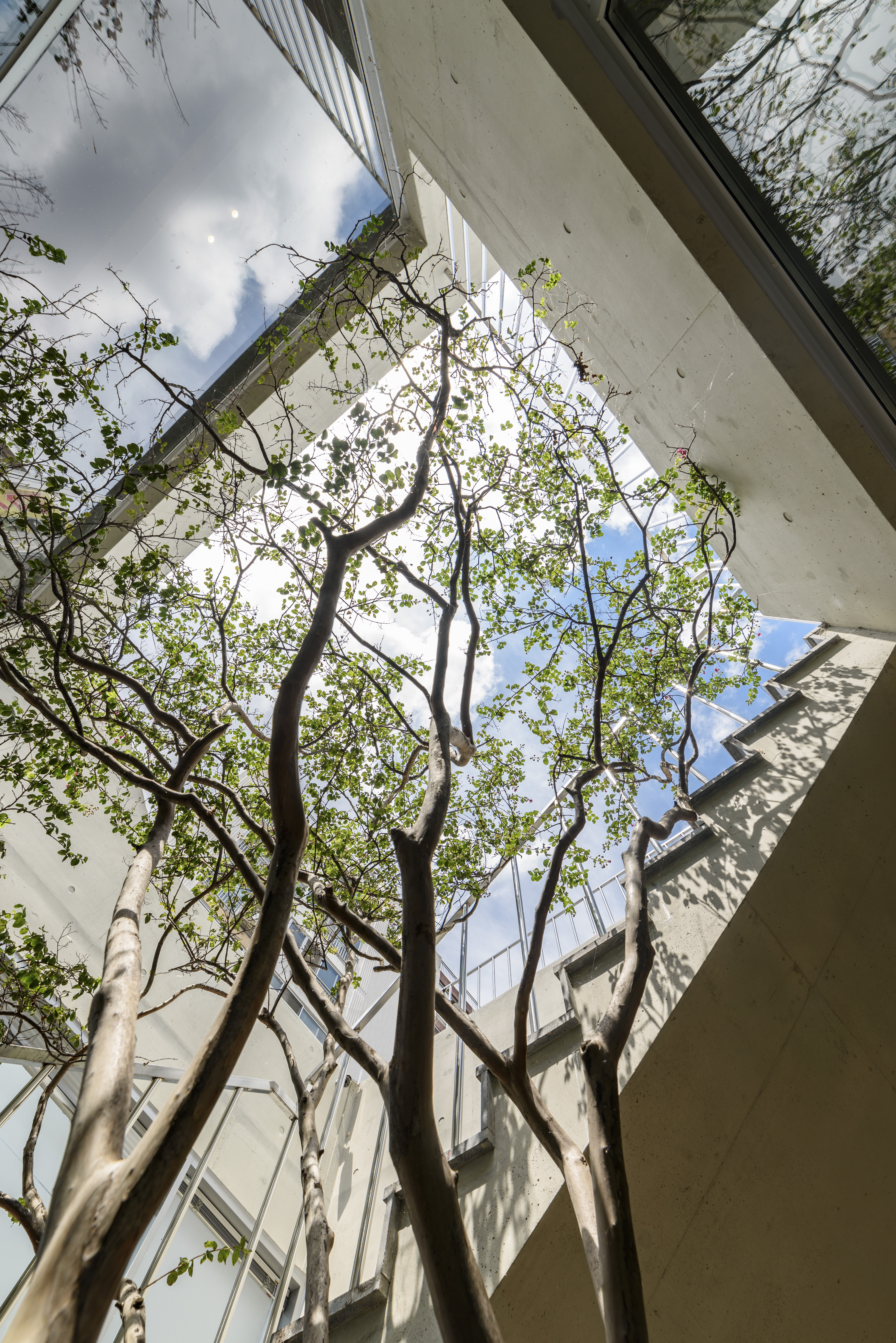 MELT CAFE by MIND ARCHITECTS - Architizer