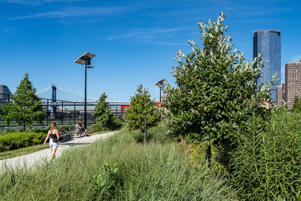 Pier 42 Master Plan and Phased Implementation by MNLA - Architizer