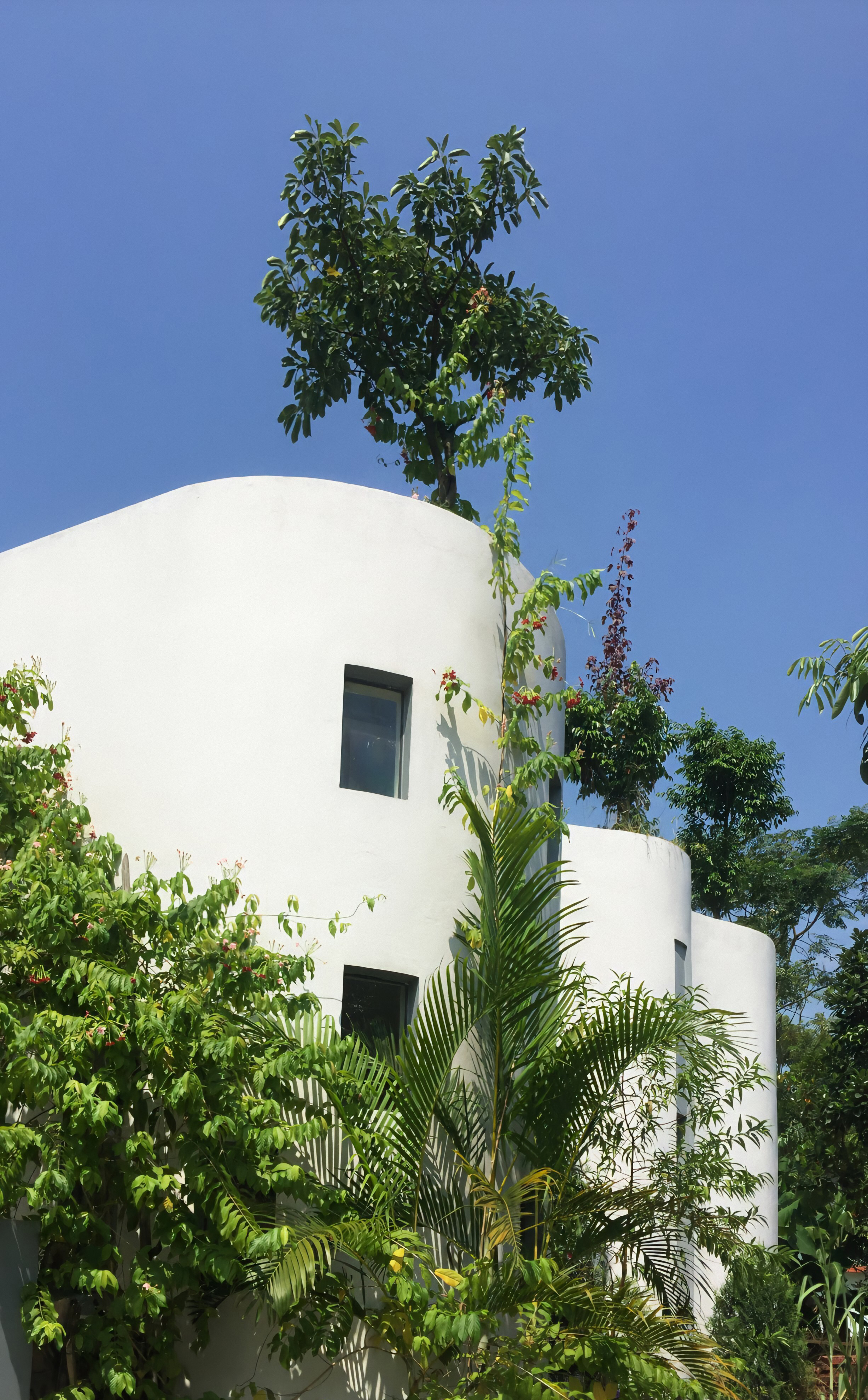Curve House in Quang Ninh by Tung Nguyen Architects - Architizer