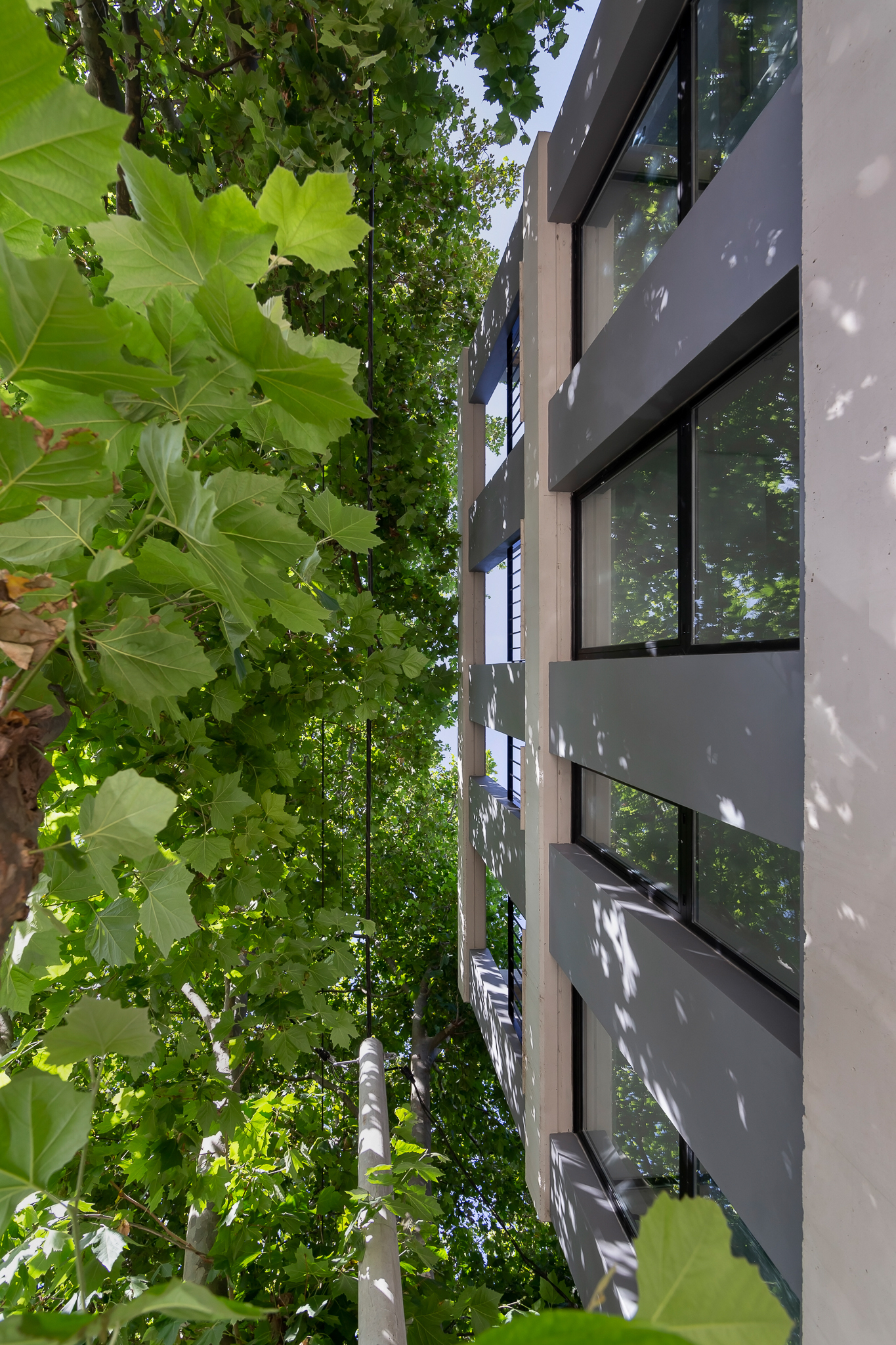 20-S Building by Moirë Architects - Architizer