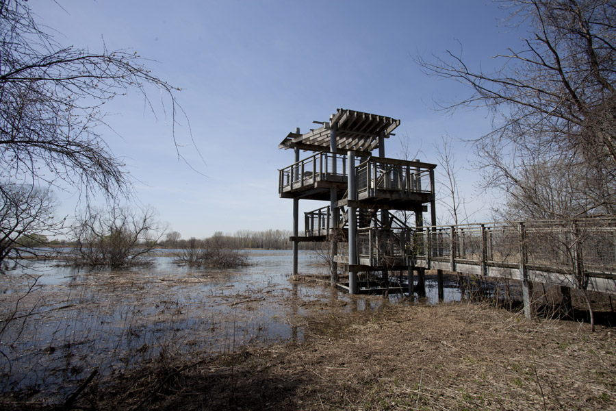 CUSTOM PROJECT | TOUR D'OBSERVATION by PARA-SOL ARCHITECTURE - Architizer