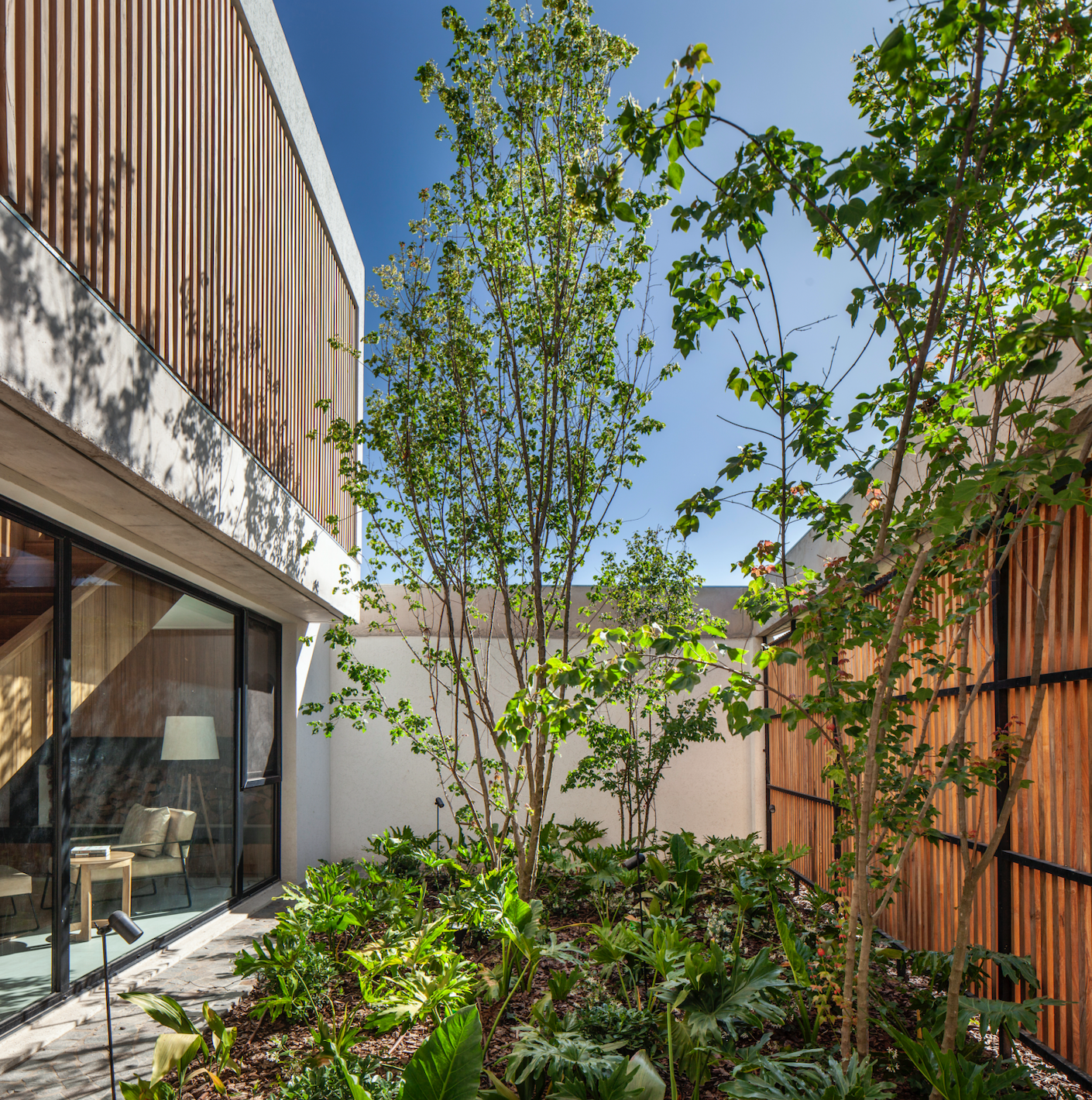 Tom House by LSA - Lattes Salinas Arquitectos - Architizer