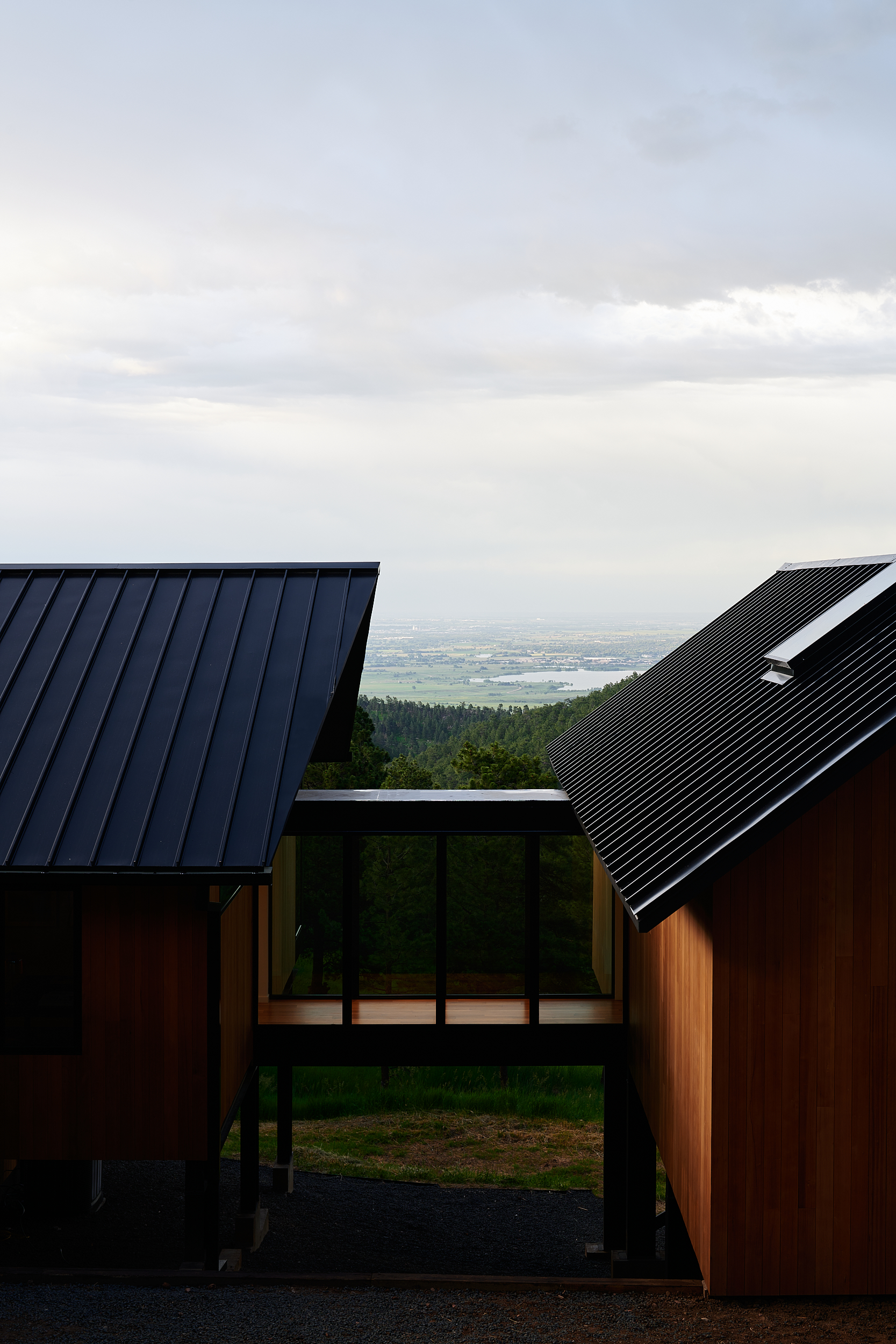 Pine Tree House by Follow Architecture - Architizer