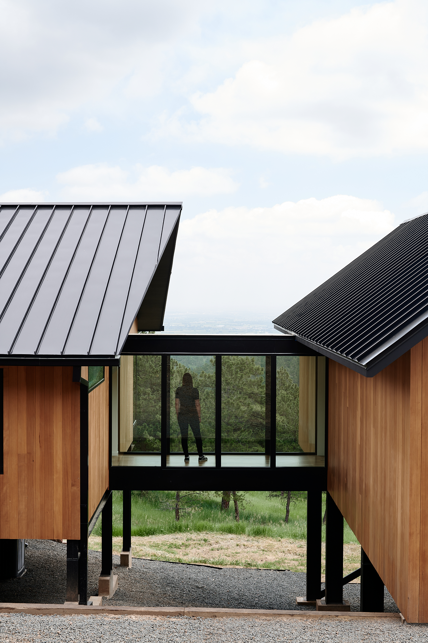 Pine Tree House by Follow Architecture - Architizer