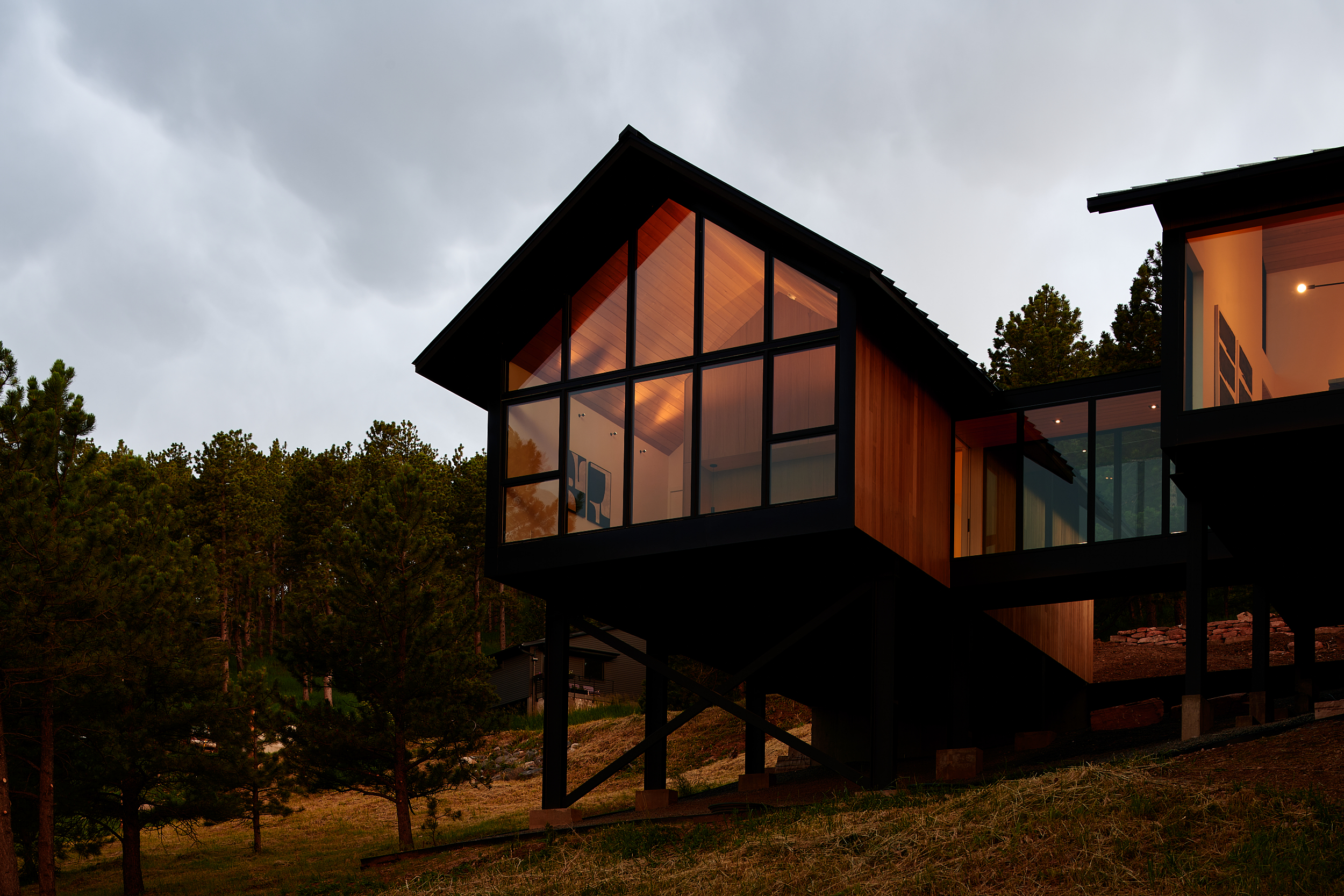Pine Tree House by Follow Architecture - Architizer