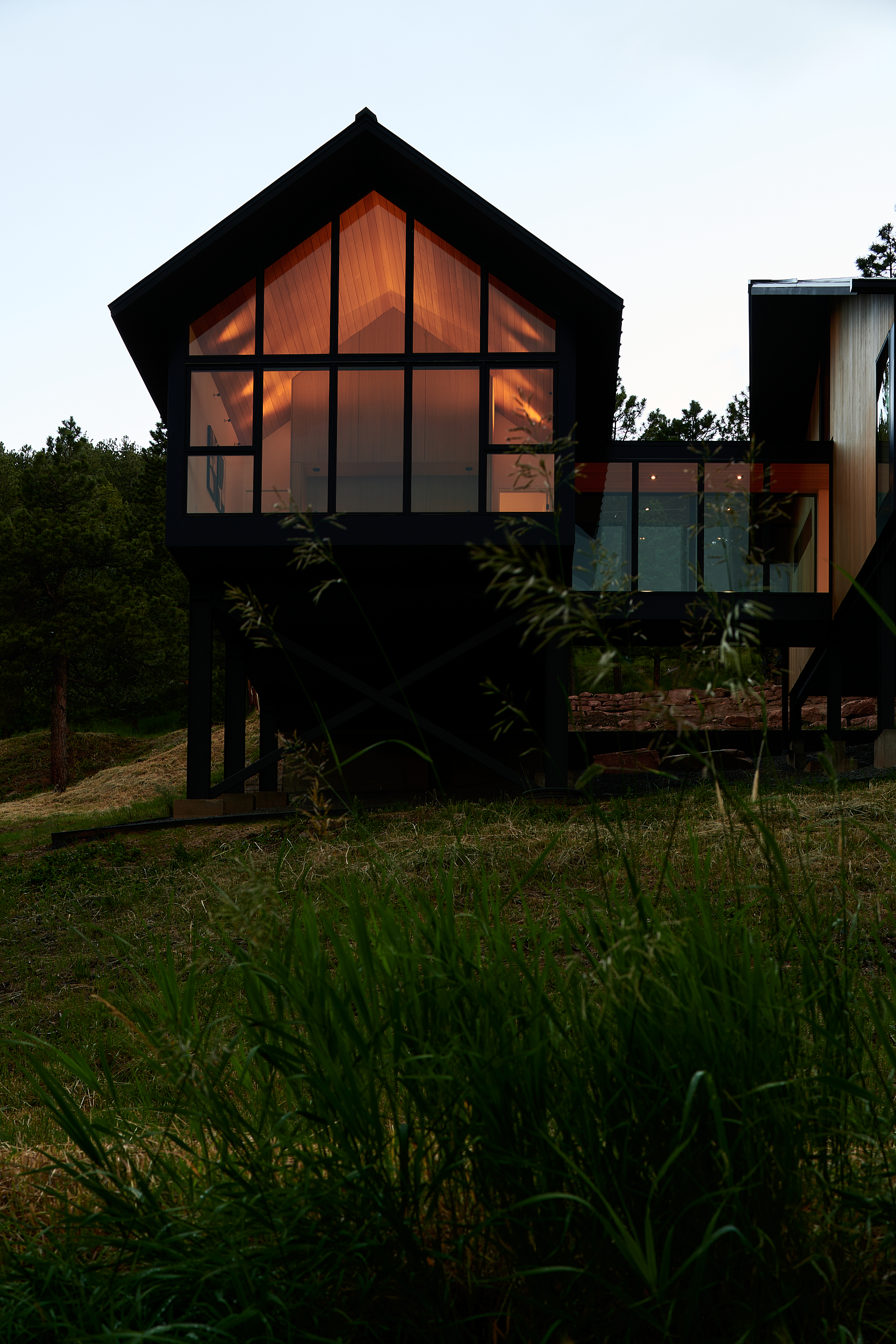 Pine Tree House by Follow Architecture - Architizer