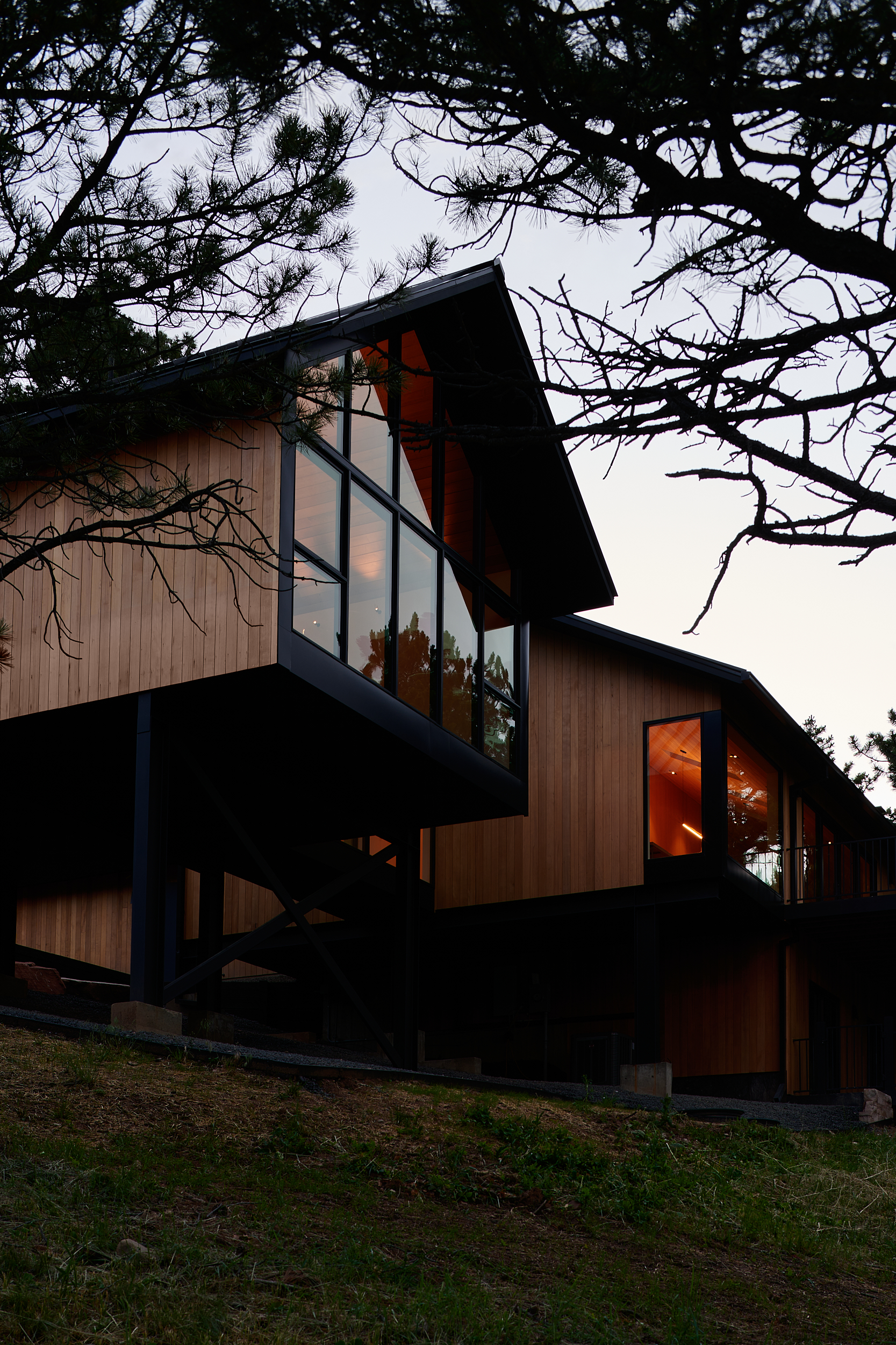 Pine Tree House by Follow Architecture - Architizer