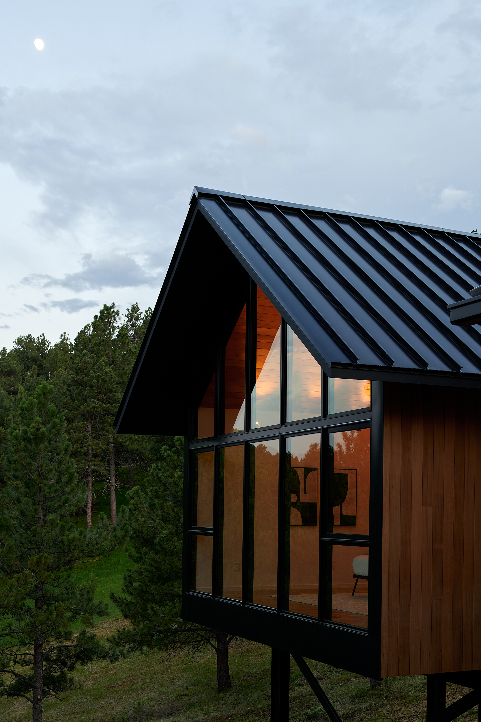 Pine Tree House by Follow Architecture - Architizer