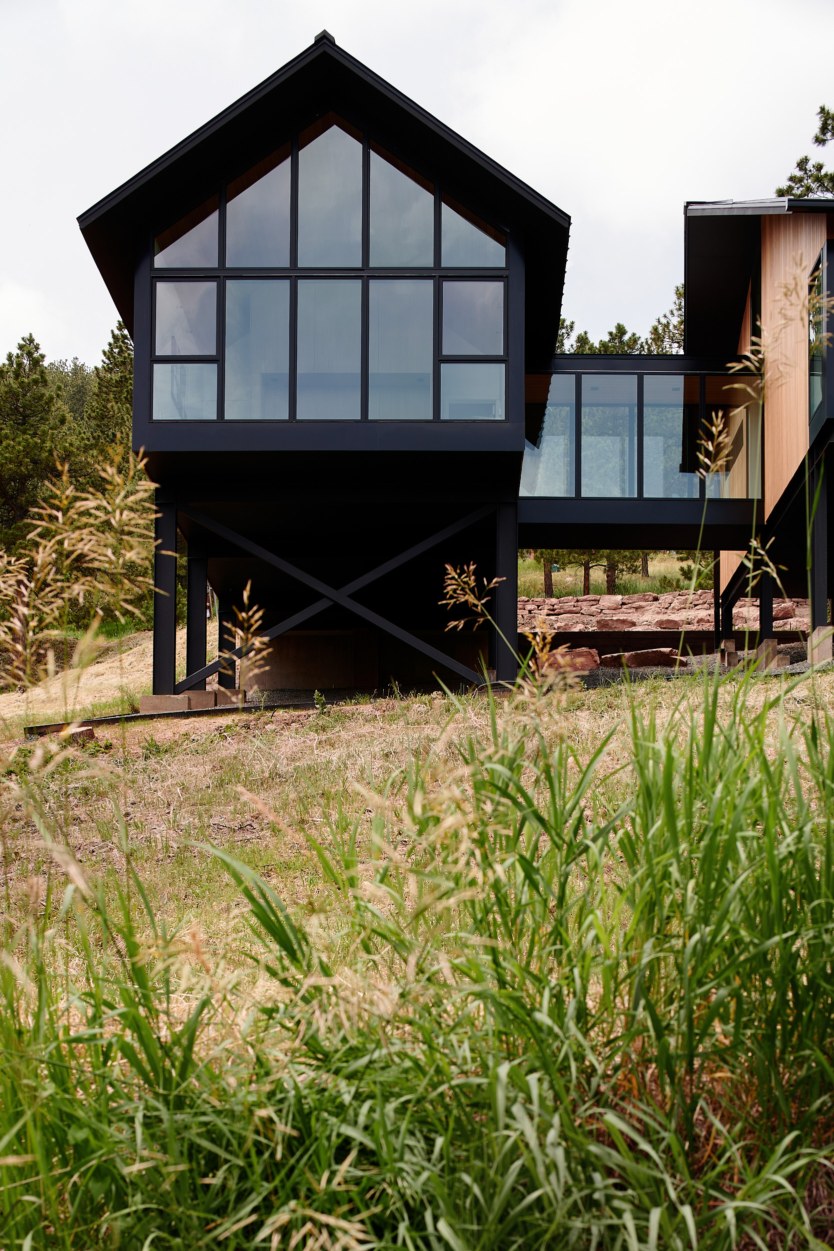 Pine Tree House by Follow Architecture - Architizer