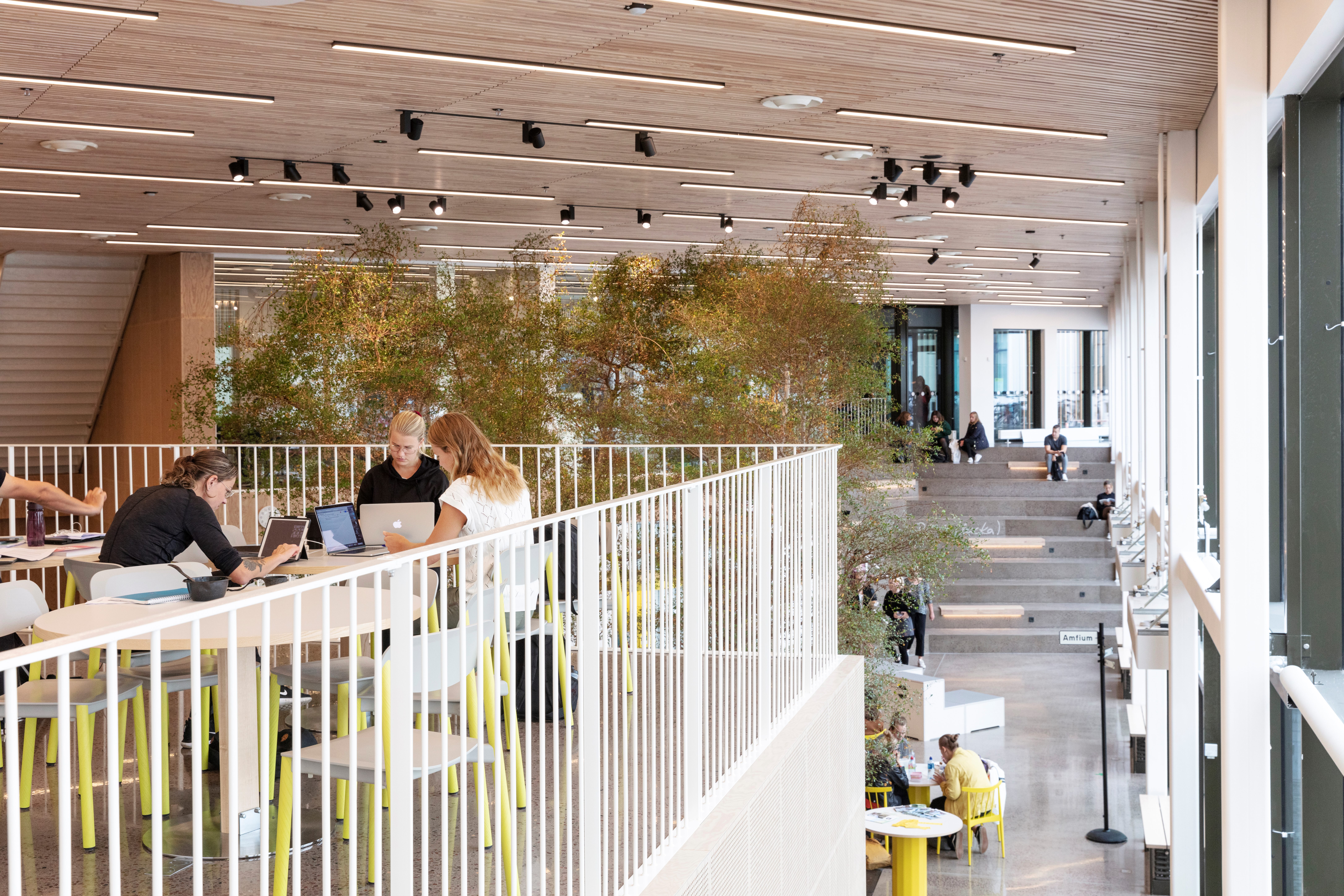 Linné University in Kalmar by Christensen & Co Architects - Architizer