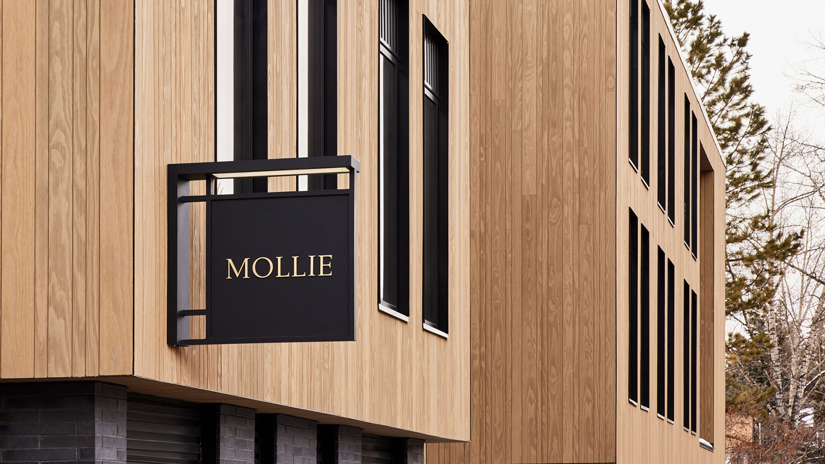 MOLLIE Aspen by CCY Architects - Architizer