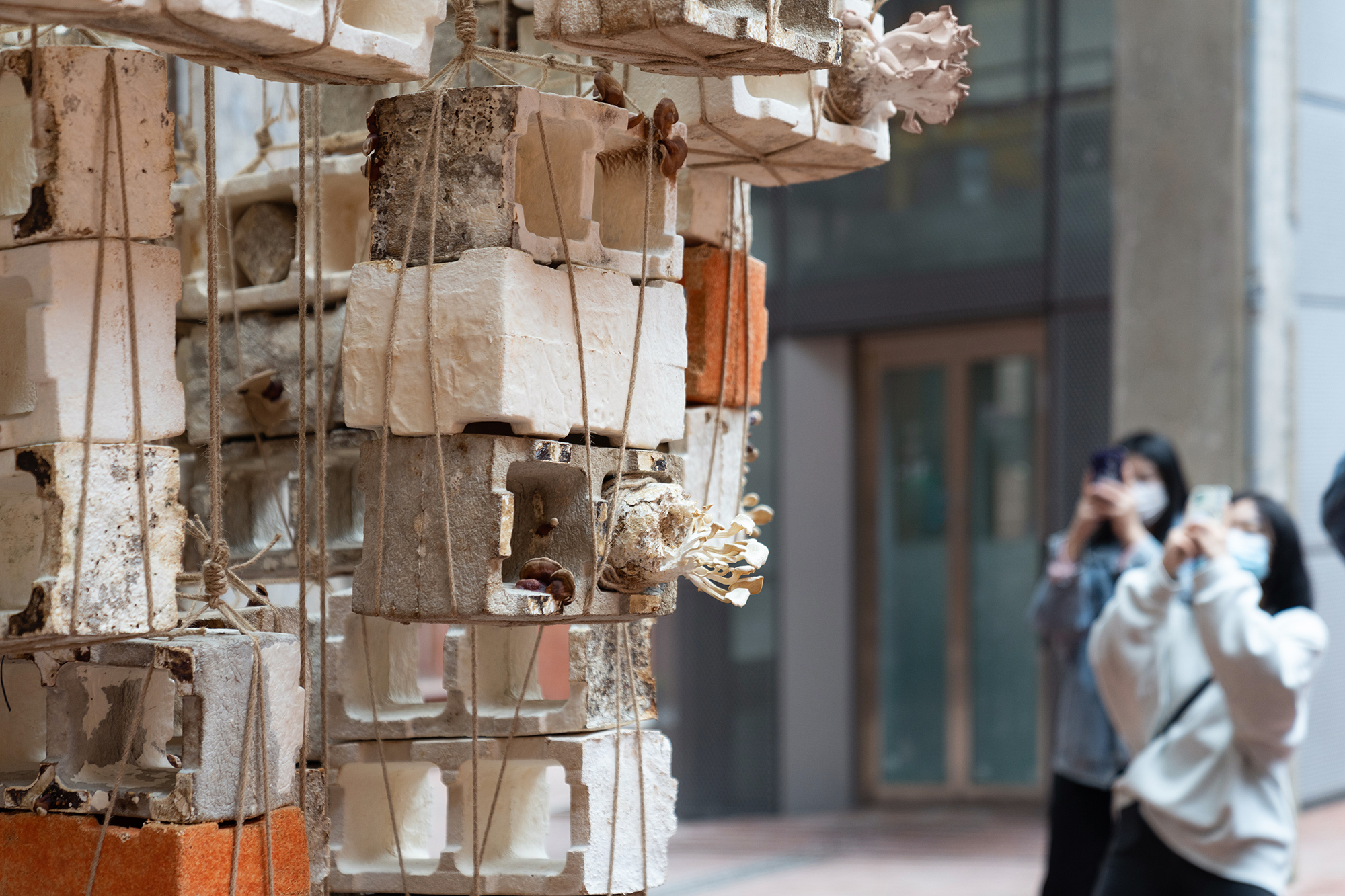 Inverted Architecture: A Mushroom Brick Pyramid by Studio Link-Arc, LLC ...