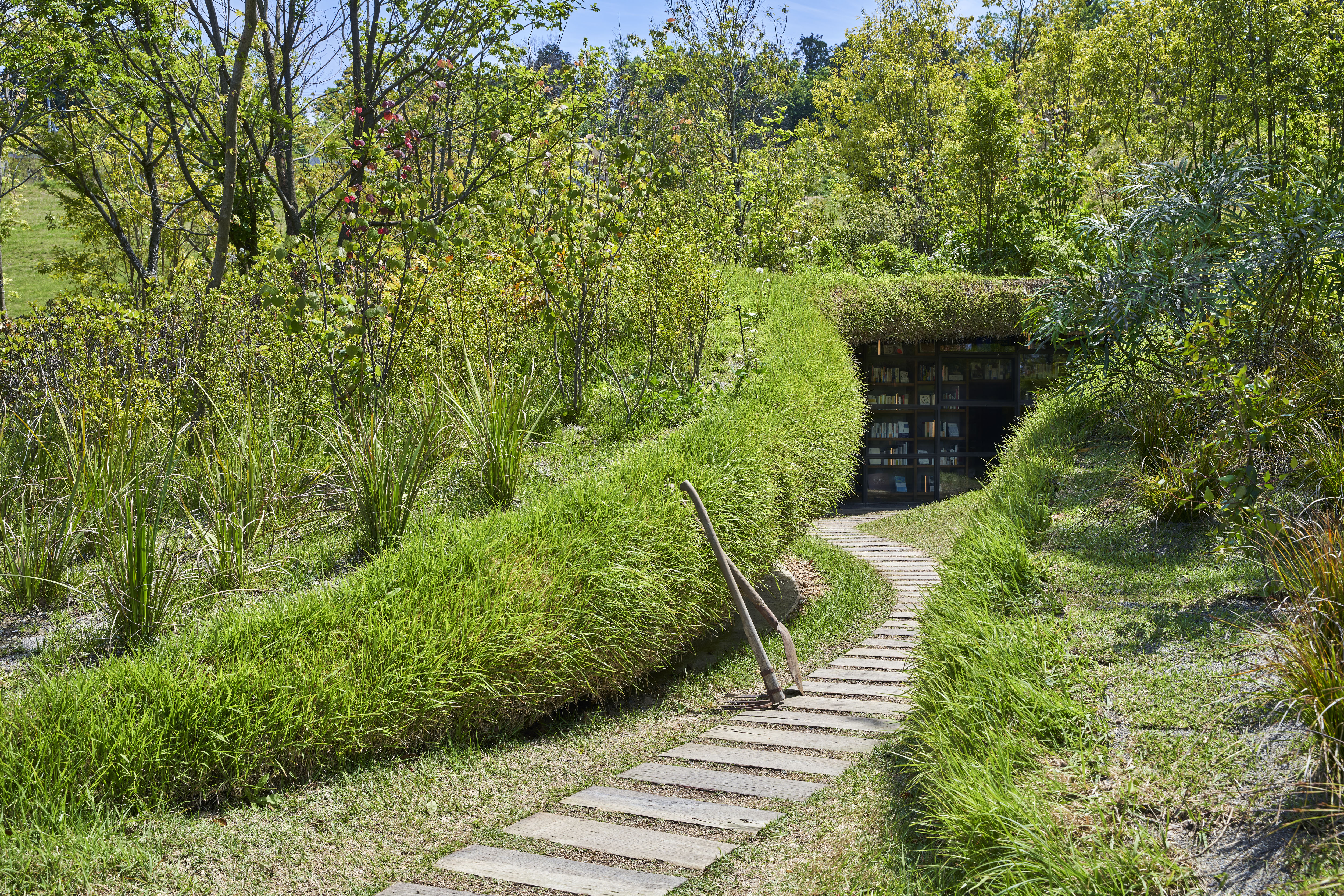 Library in the Earth by Hiroshi Nakamura & NAP - Architizer
