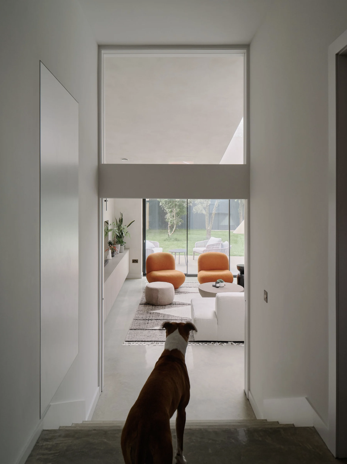 Herbert Paradise by RISE Design Studio - Architizer