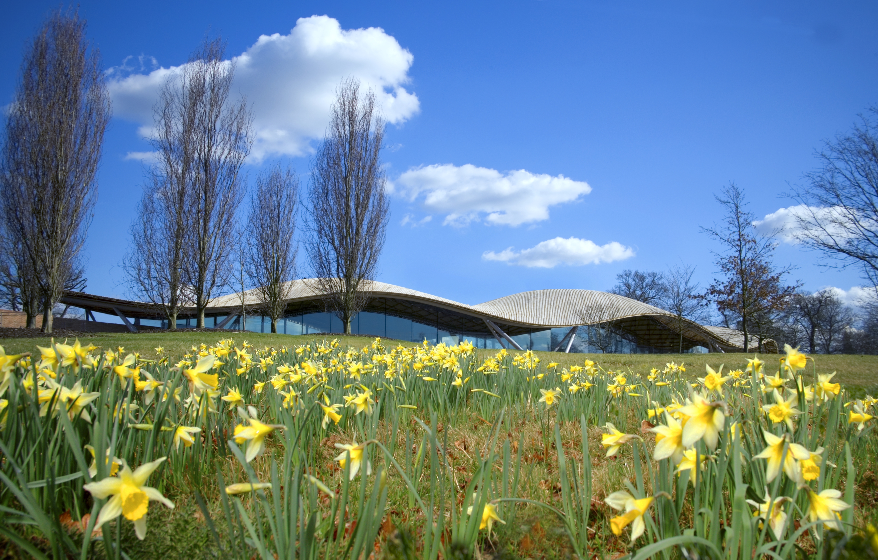 Idea 4022544: Savill Building by Howells in United Kingdom - Architizer