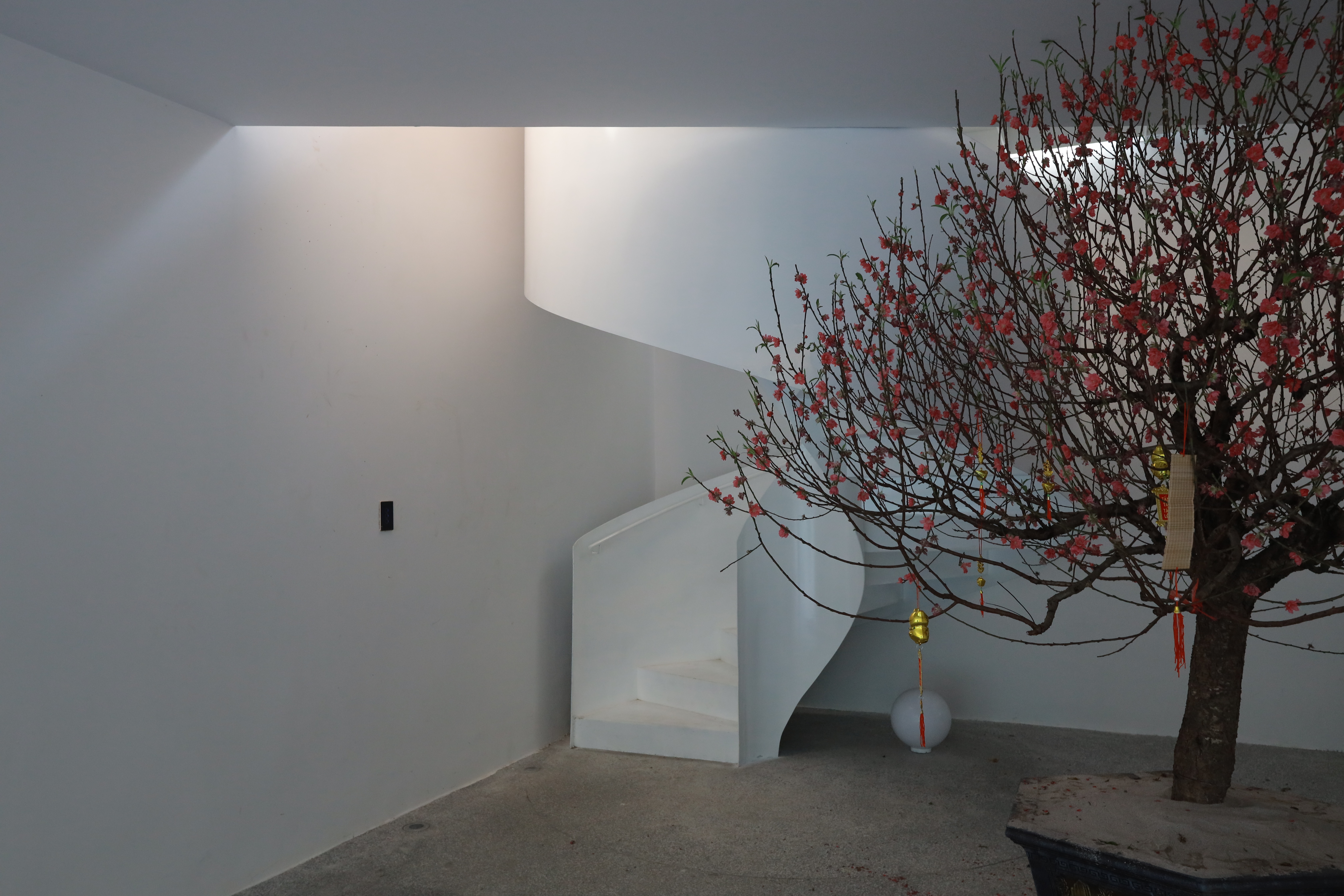 Nam house by H.BD atelier - Architizer