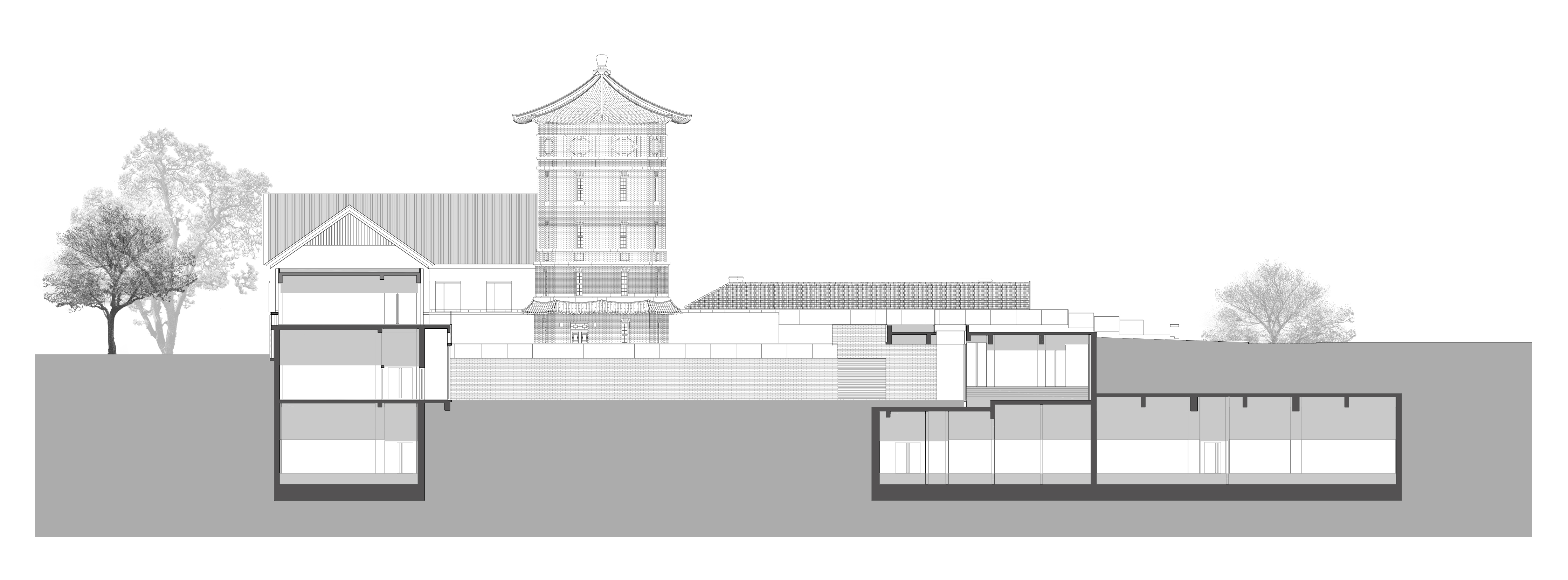 Animal Experiment Center of Baotu Spring Campus of Shandong University ...