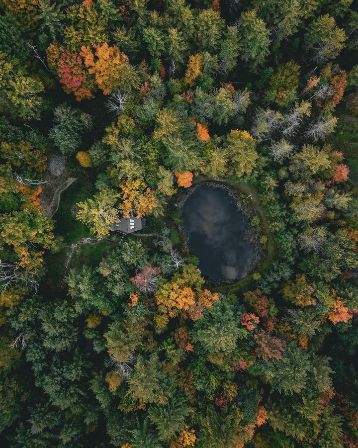 Inhabit Treehouse by antonygibbondesigns - Architizer