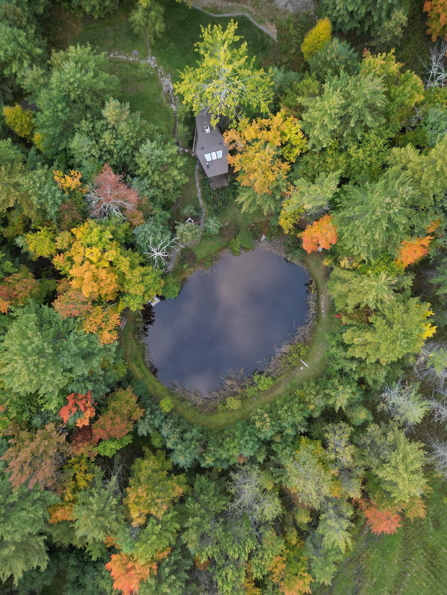 Inhabit Treehouse by antonygibbondesigns - Architizer