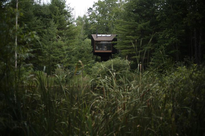 Inhabit Treehouse by antonygibbondesigns - Architizer