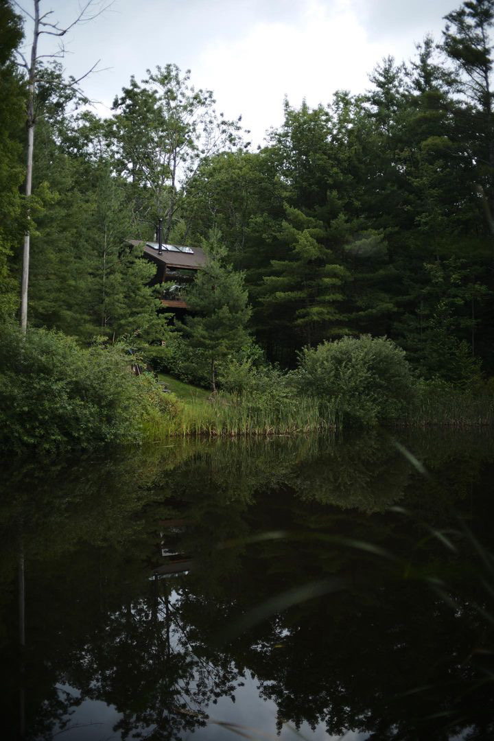 Inhabit Treehouse by antonygibbondesigns - Architizer